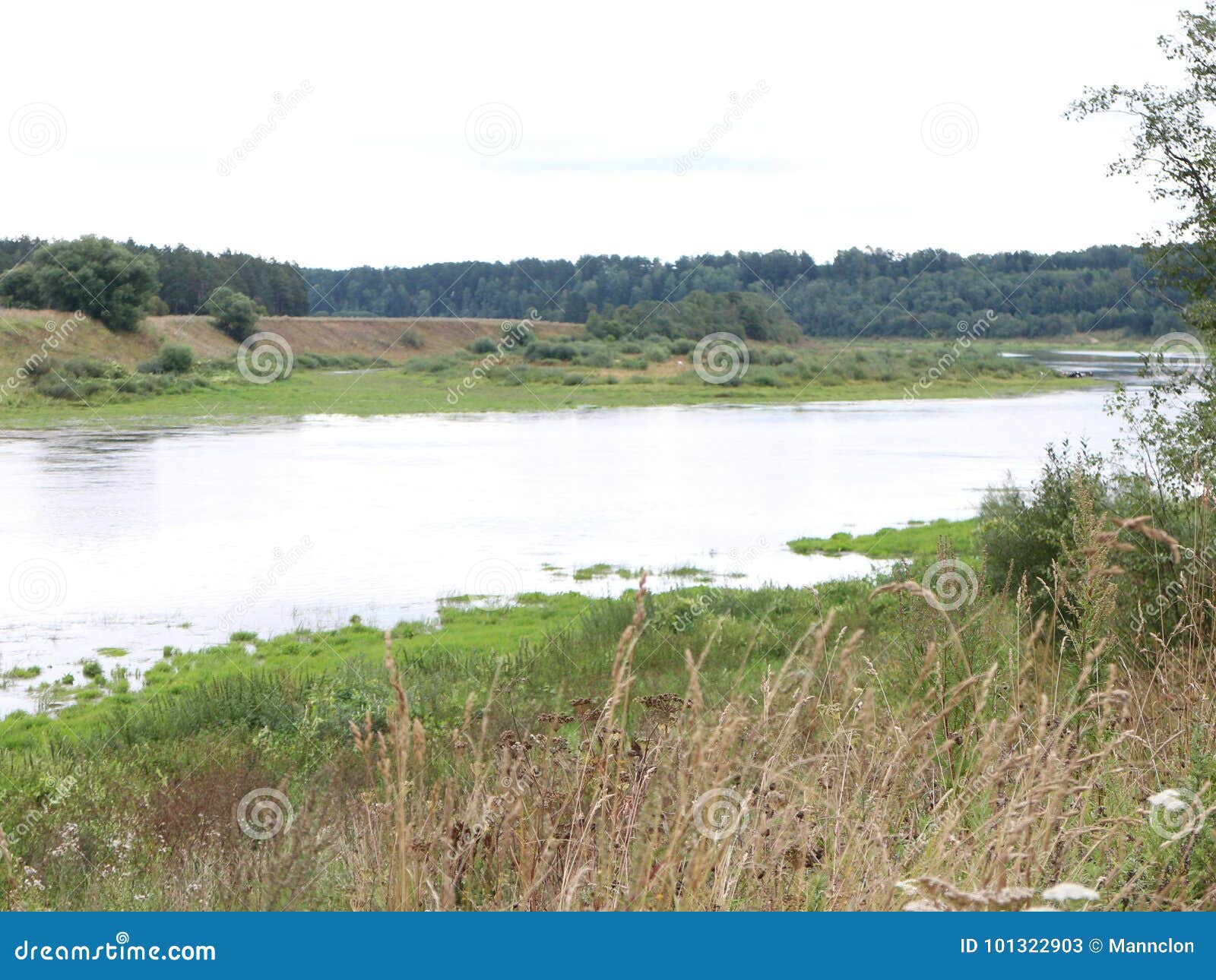 Rest on the river bank stock image. Image of outdoors - 101322903