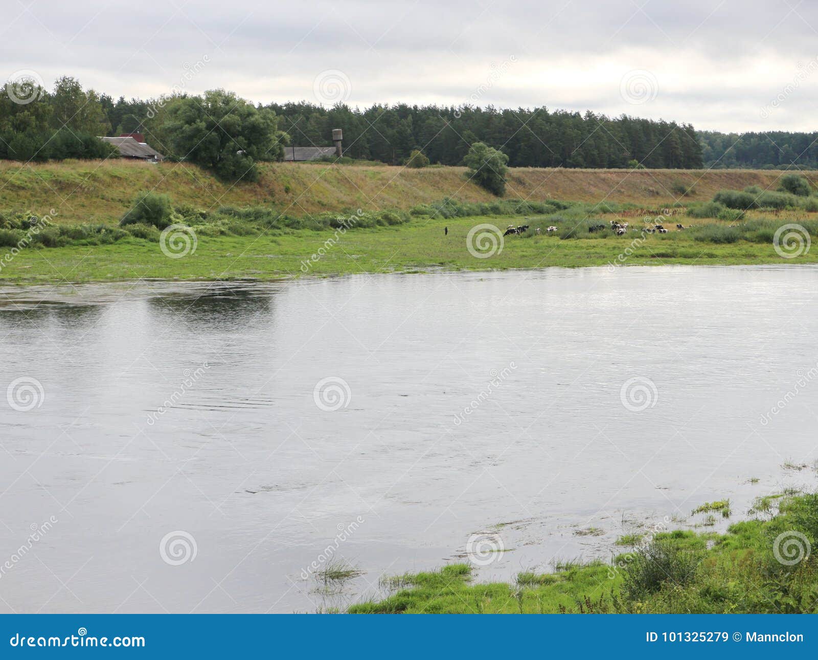 Rest on the river bank stock image. Image of calm, wind - 101325279