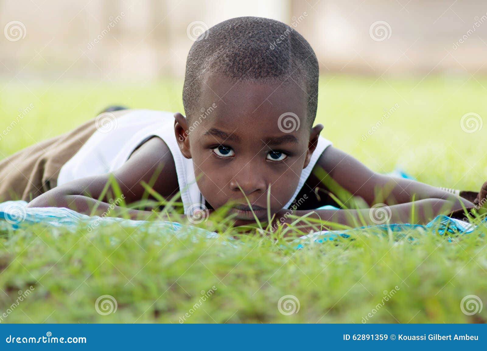 Rest in the shade. stock image. Image of lying, portrait - 62891359