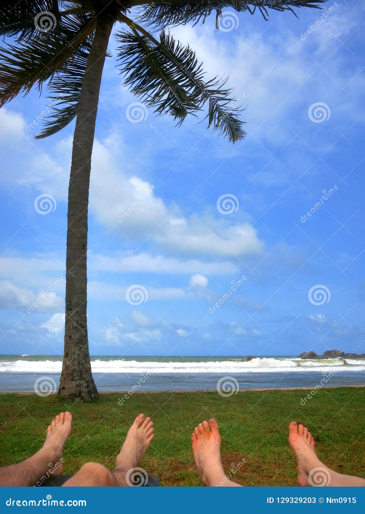 Under the Palm Near the Ocean Stock Image - Image of palm, beach: 129329203