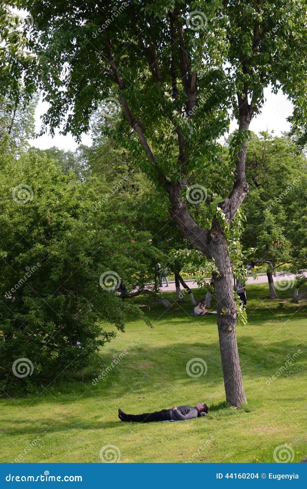 Rest under the tree editorial stock image. Image of rest - 44160204