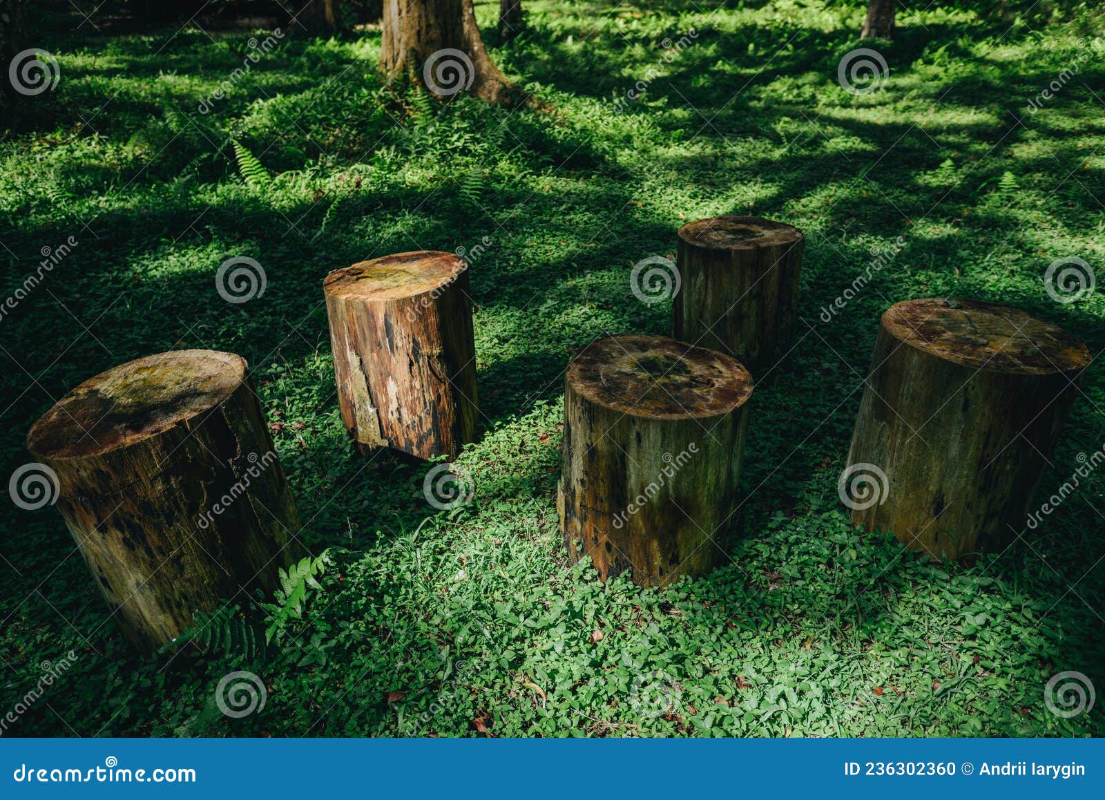 Rest in the woods stock photo. Image of season, outdoor - 236302360