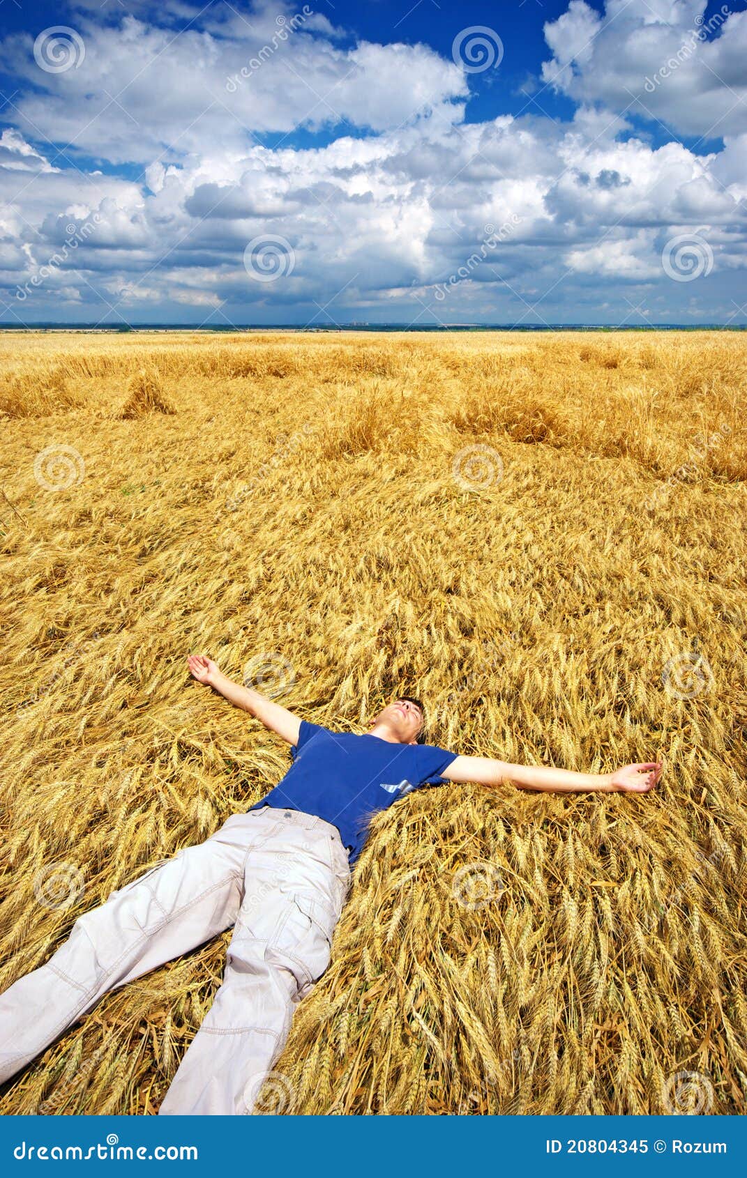 Rest in yellow meadow stock image. Image of outdoor, countryside - 20804345