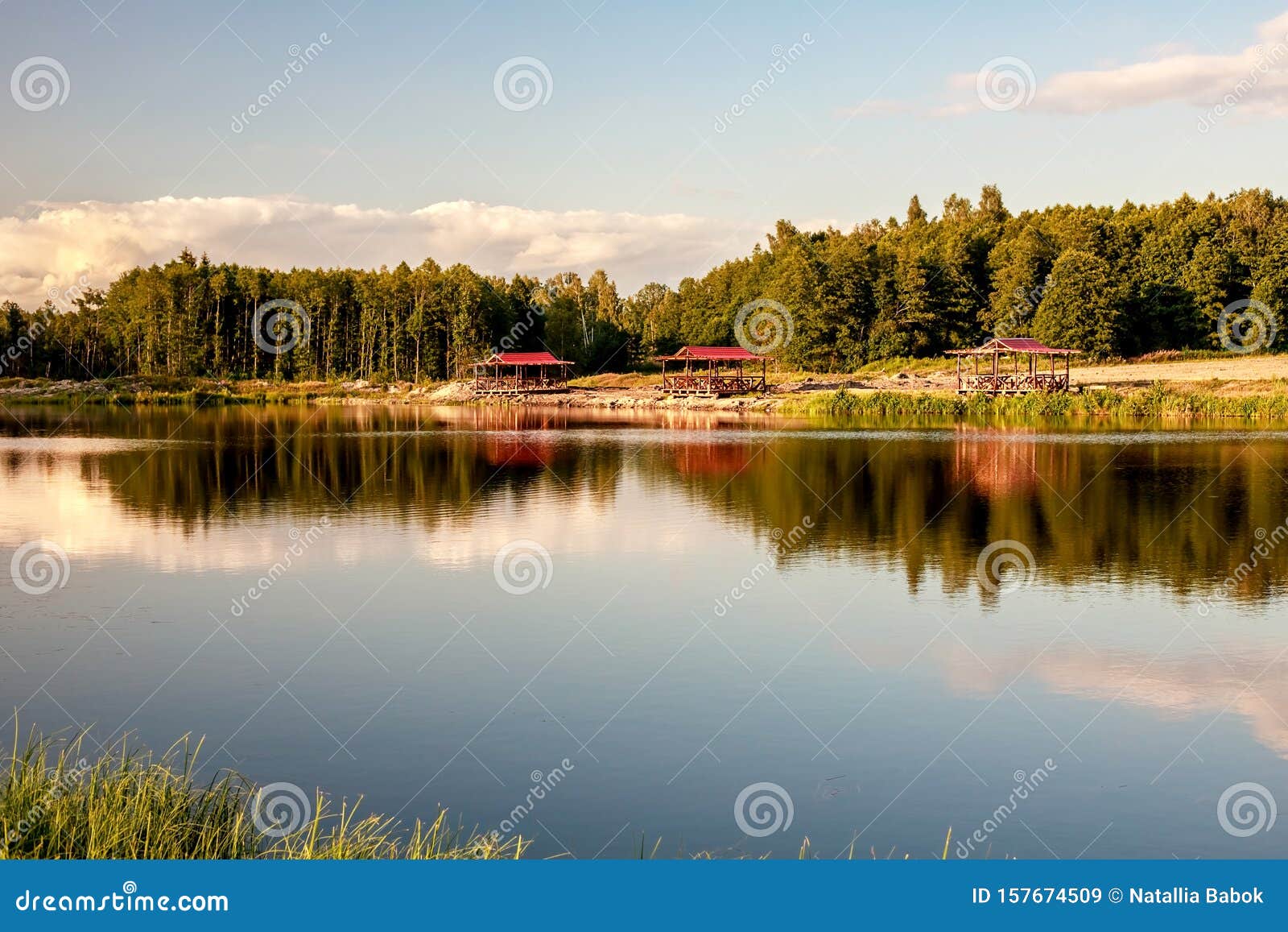 Rest Zone. Blue Water in a Forest Lake with Pine Trees Stock Image ...