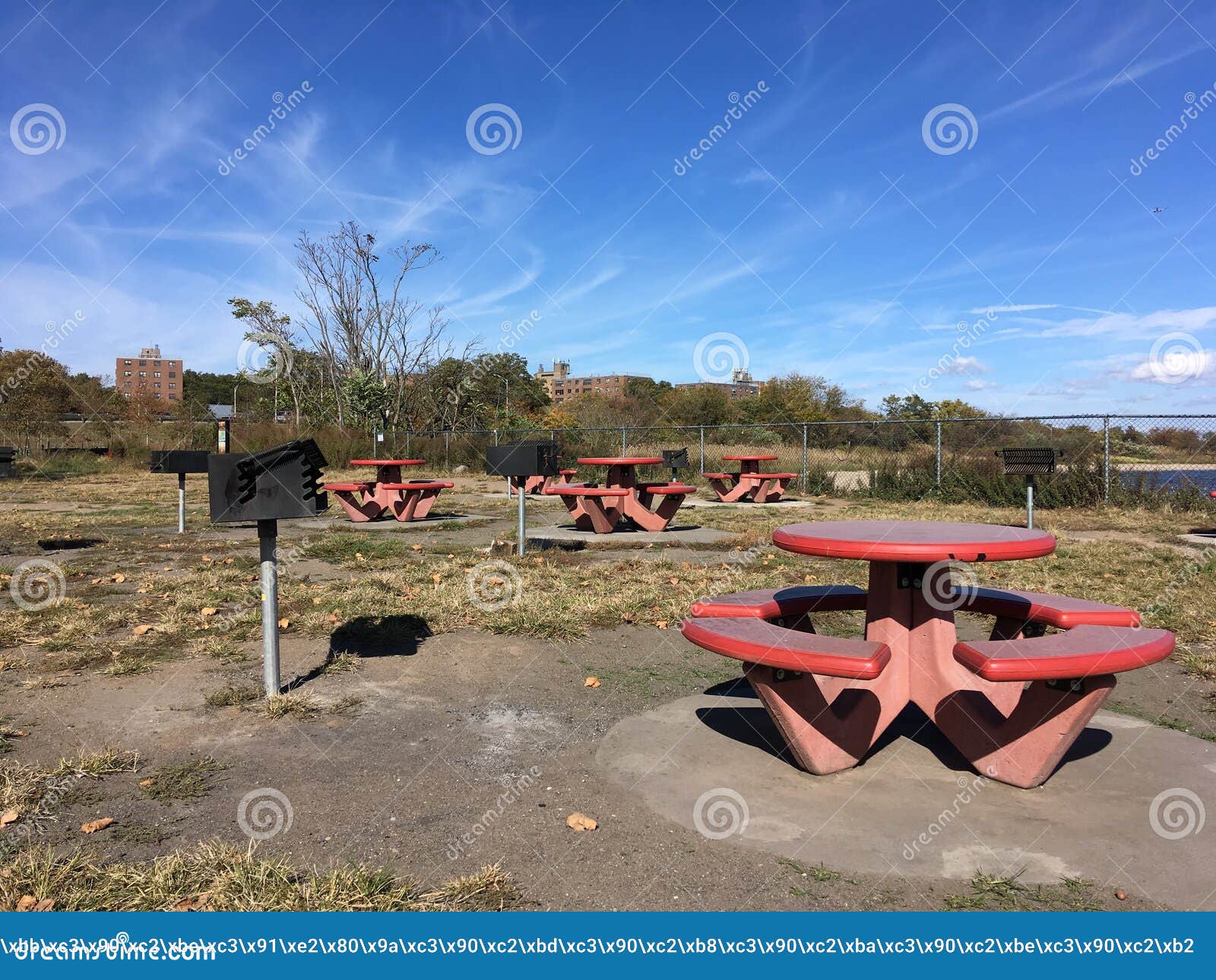 Rest Zone in the Sun on a Clear Day Stock Image - Image of rest, tree ...