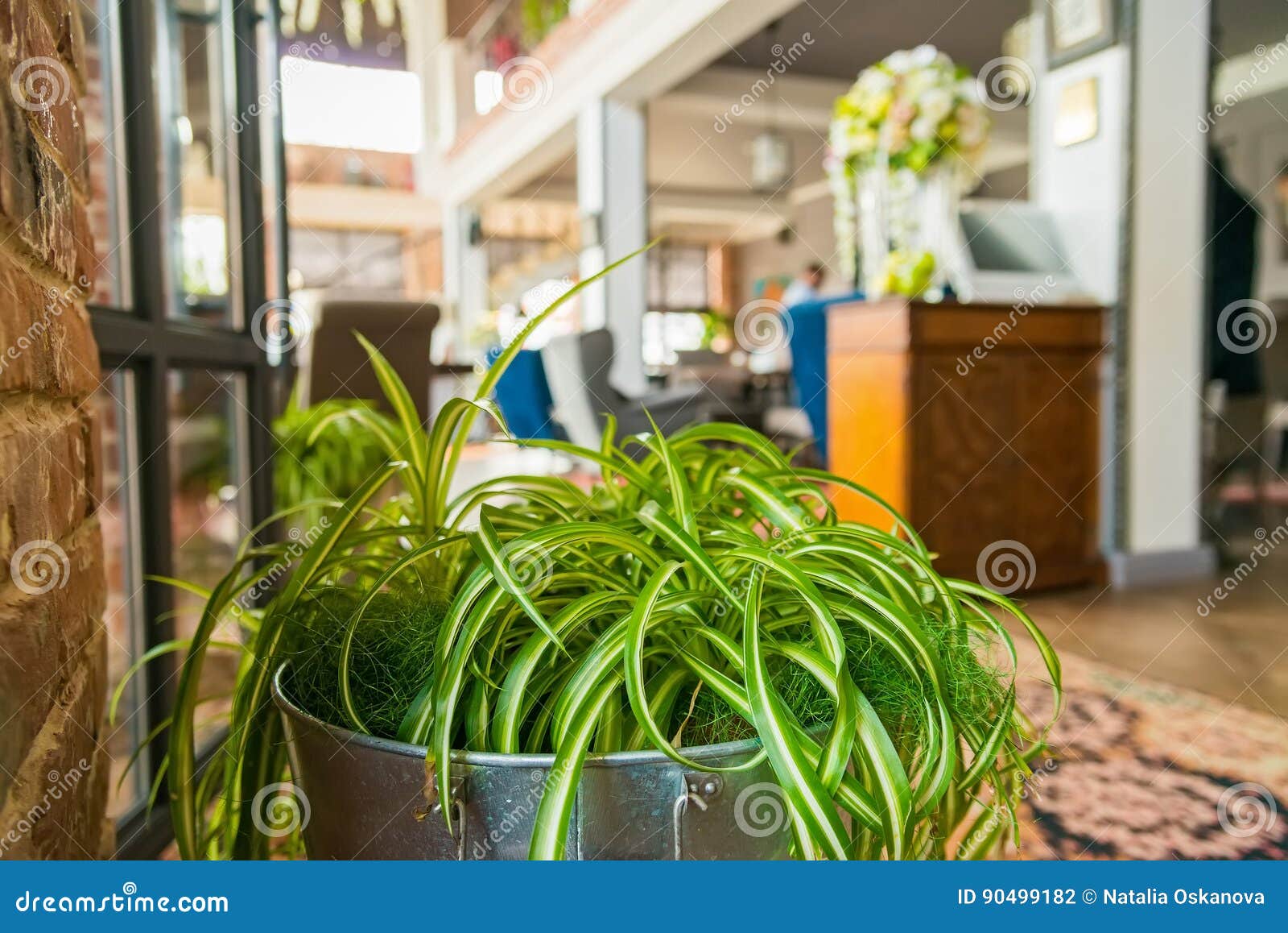 Restaurant Interior with Plant in Foreground Stock Photo - Image of ...