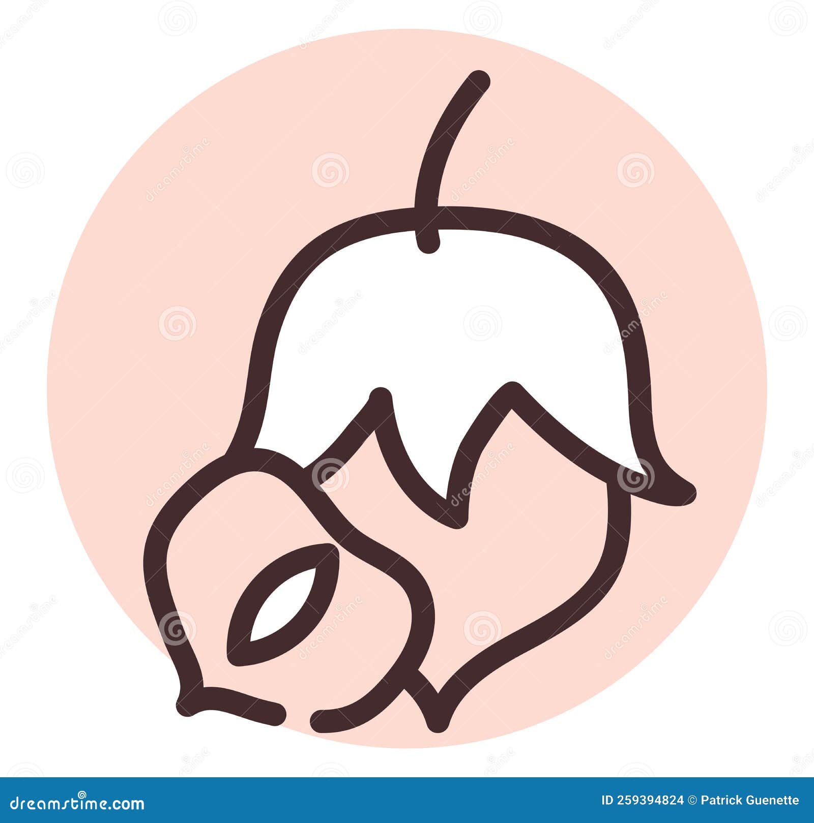 Restaurant nuts, icon stock vector. Illustration of ingredient - 259394824