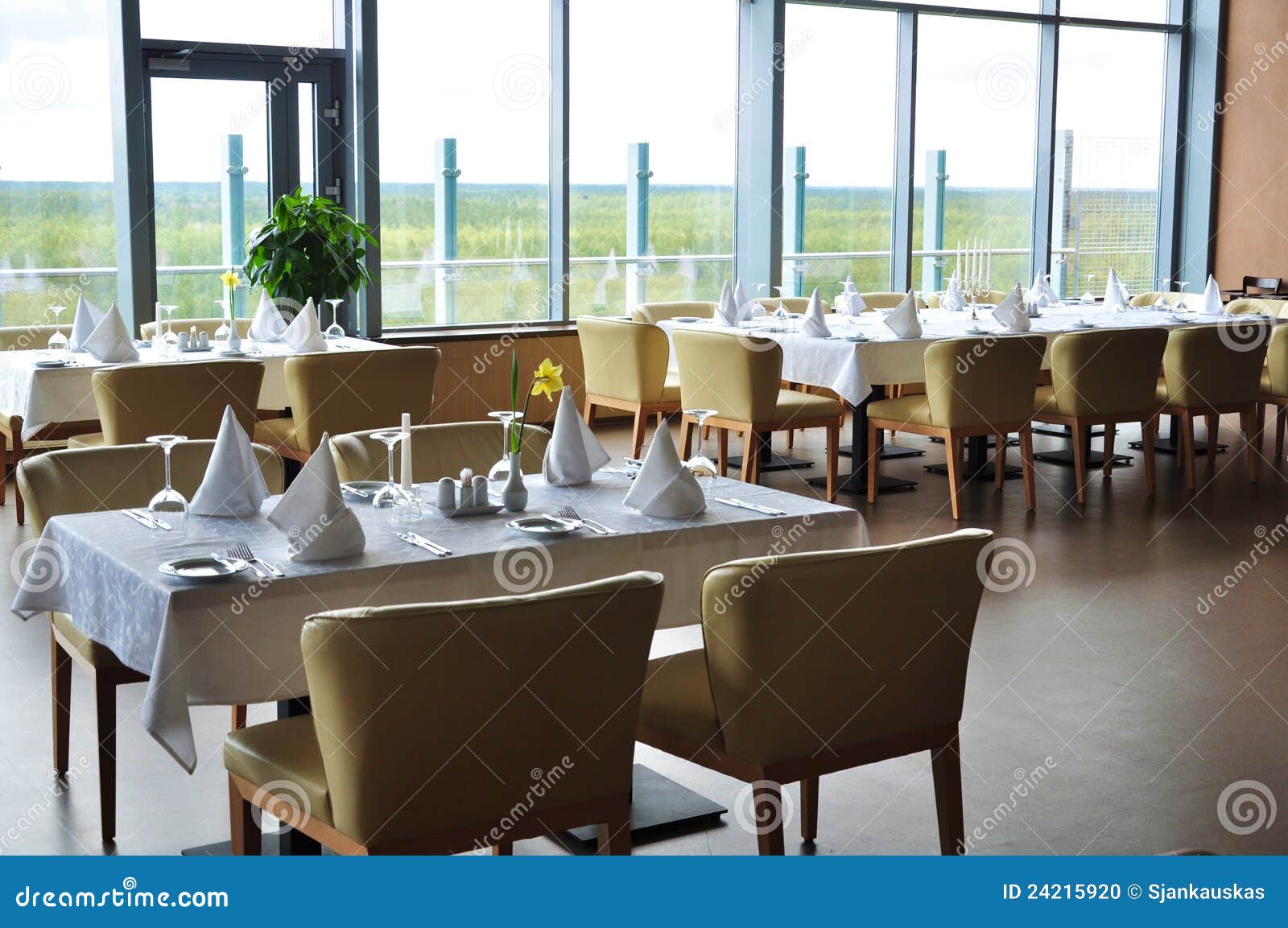 Restaurant setting stock photo. Image of place, table - 24215920