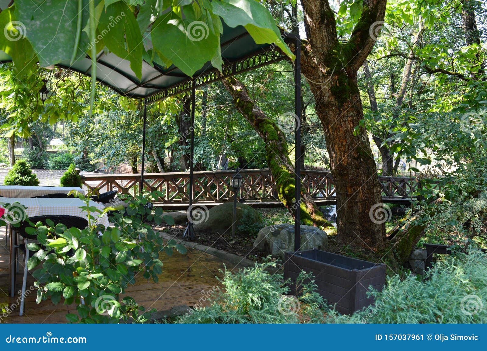 Restaurant in the shade stock image. Image of bridge - 157037961
