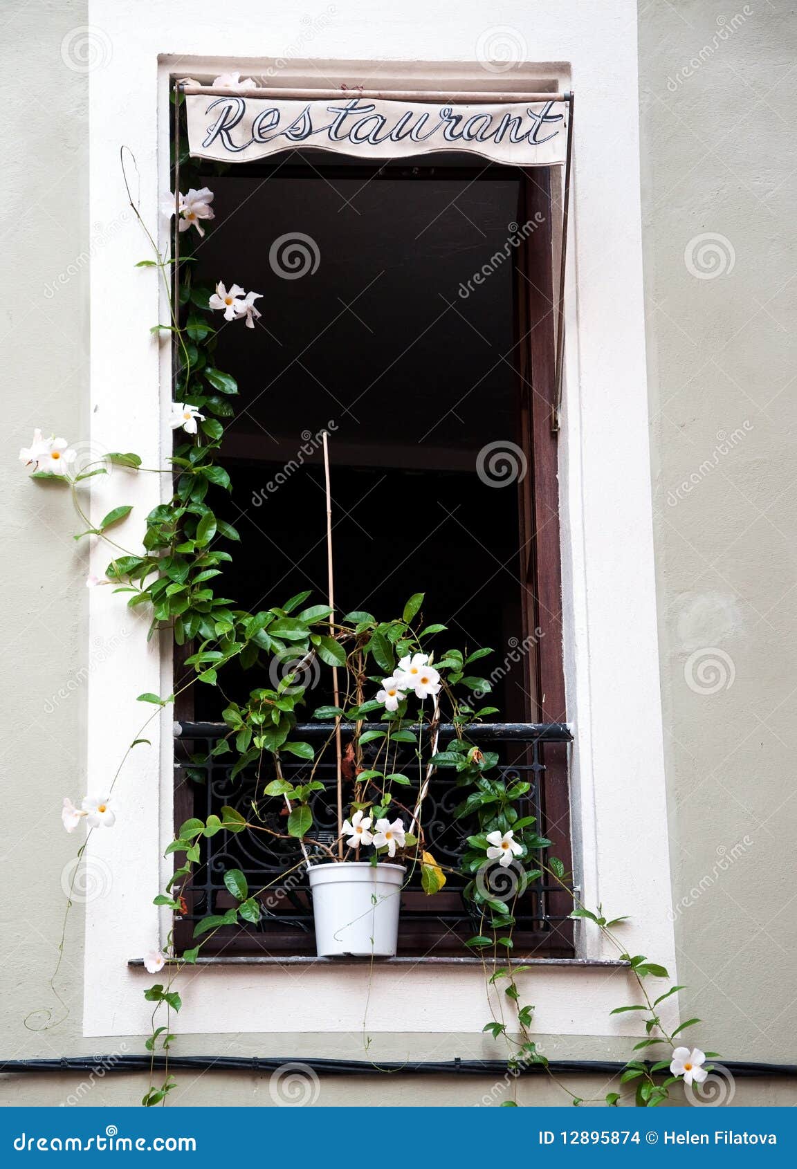 Restaurant window stock photo. Image of exterior, flowers - 12895874