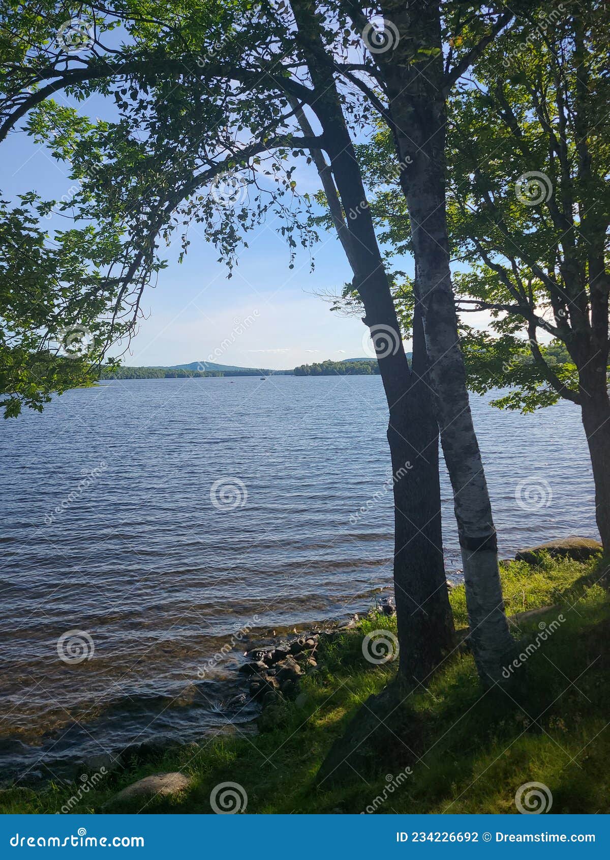 Restful moments stock photo. Image of moments, rest - 234226692