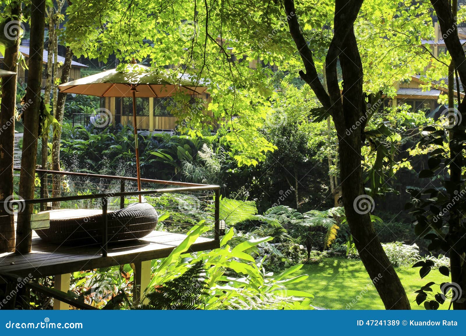 Resting Area with Wooden Table Stock Image - Image of bush, armchair ...