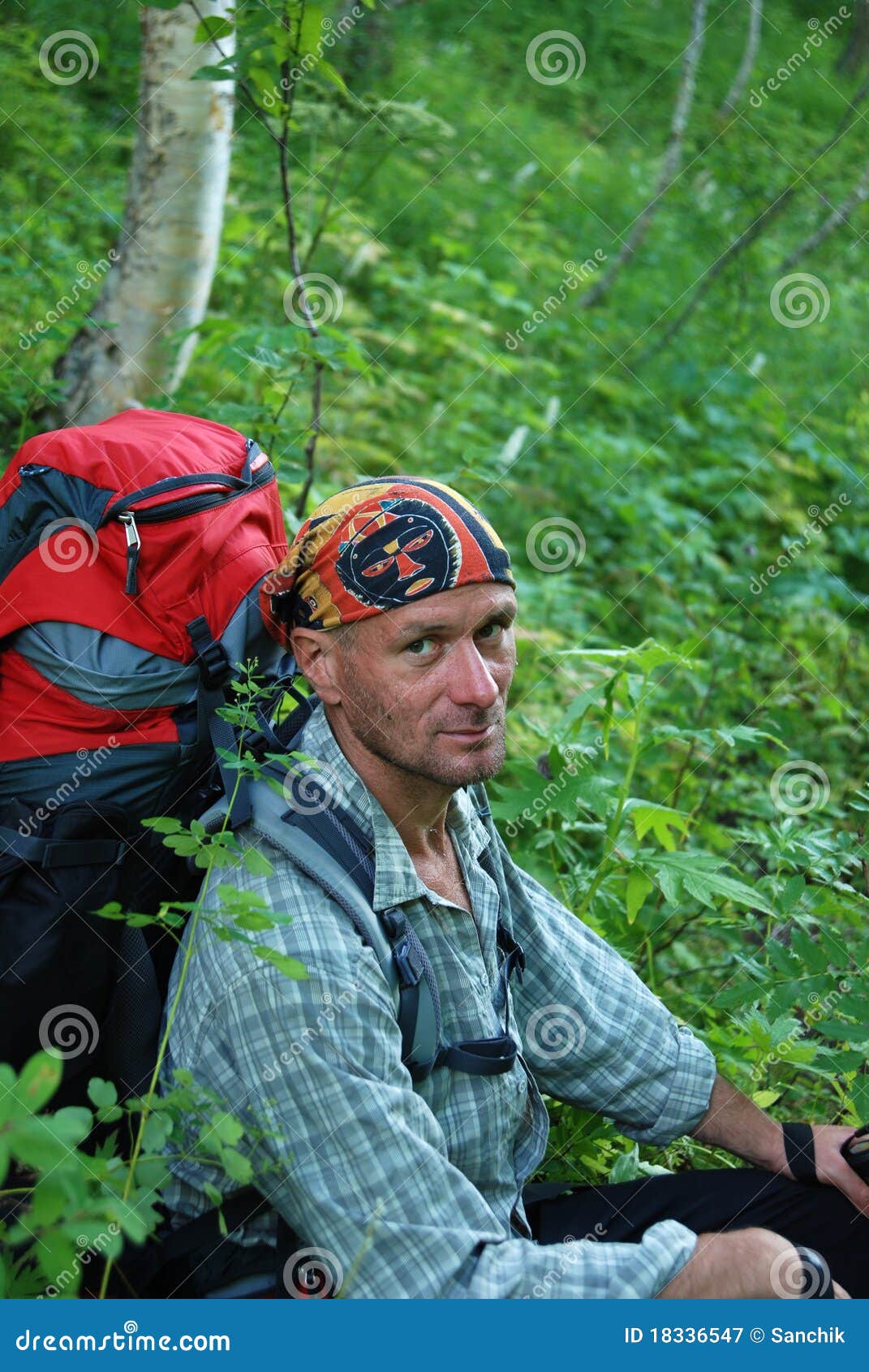 Resting backpacker stock image. Image of sitting, thicket - 18336547