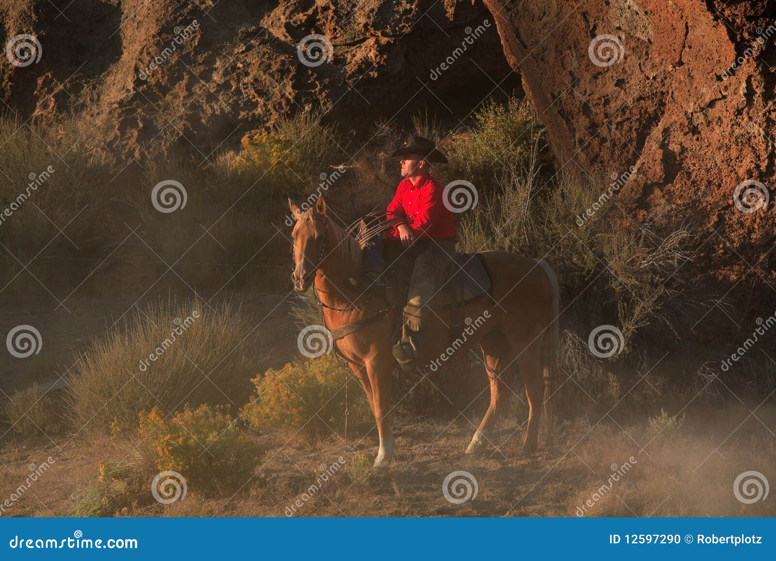 Resting Cowboy stock photo. Image of drive, tack, saddle - 12597290