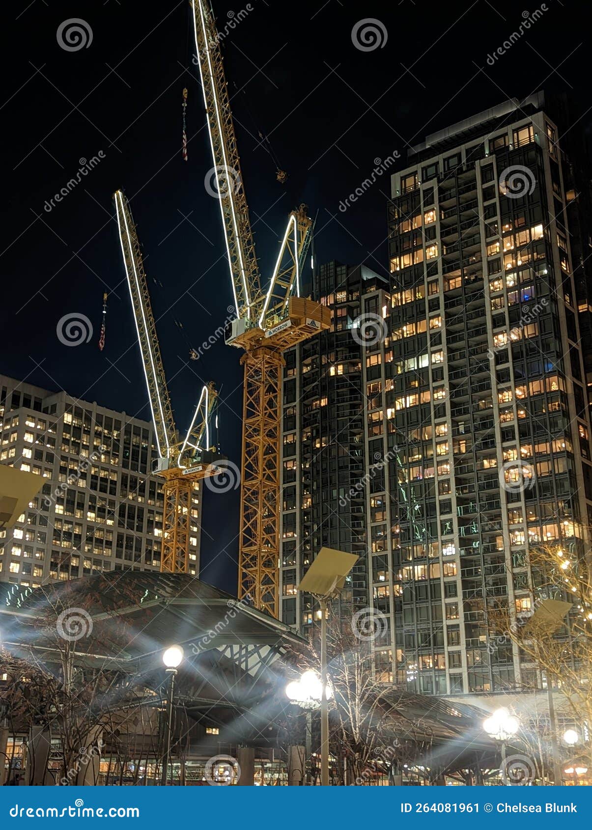 Resting Cranes editorial photo. Image of site, architecture - 264081961