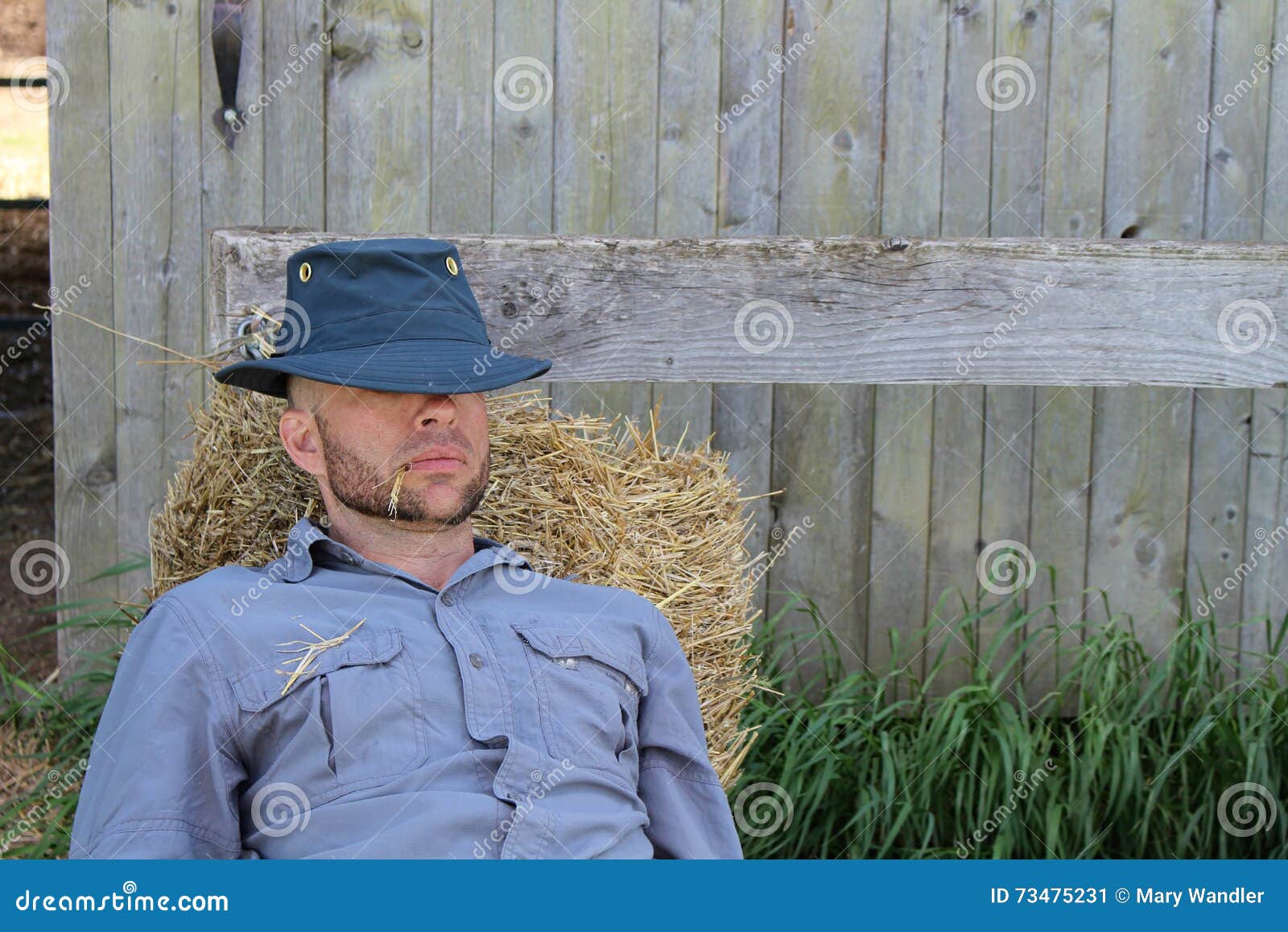 Resting Farm Hand stock image. Image of farm, cowboy - 73475231
