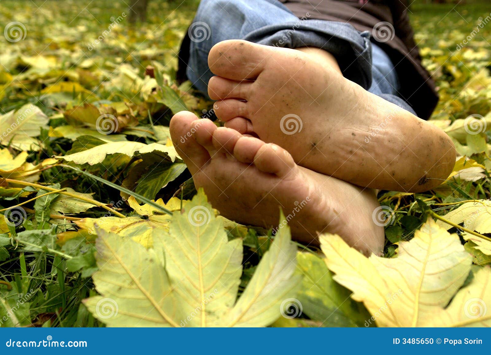 Resting Feet stock photo. Image of foot, grass, autumn - 3485650