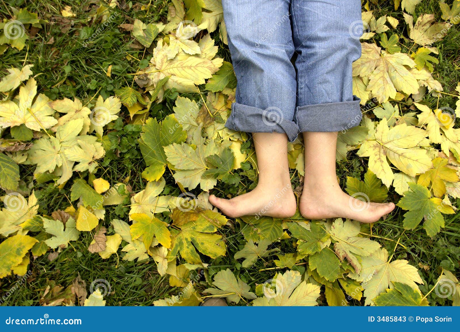 Resting Feet stock image. Image of leafs, feet, party - 3485843