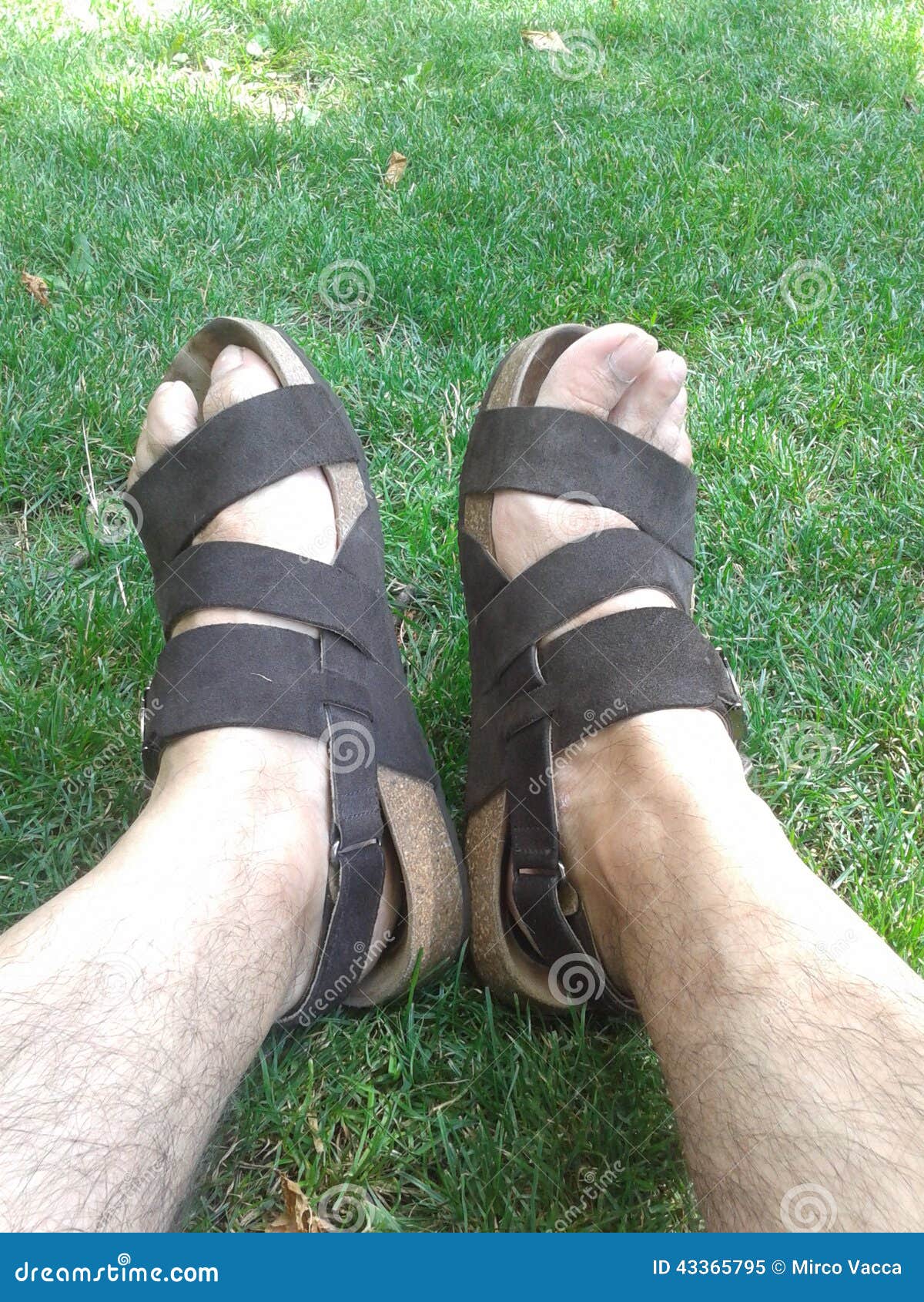 Resting feet stock image. Image of feet, resting, green - 43365795