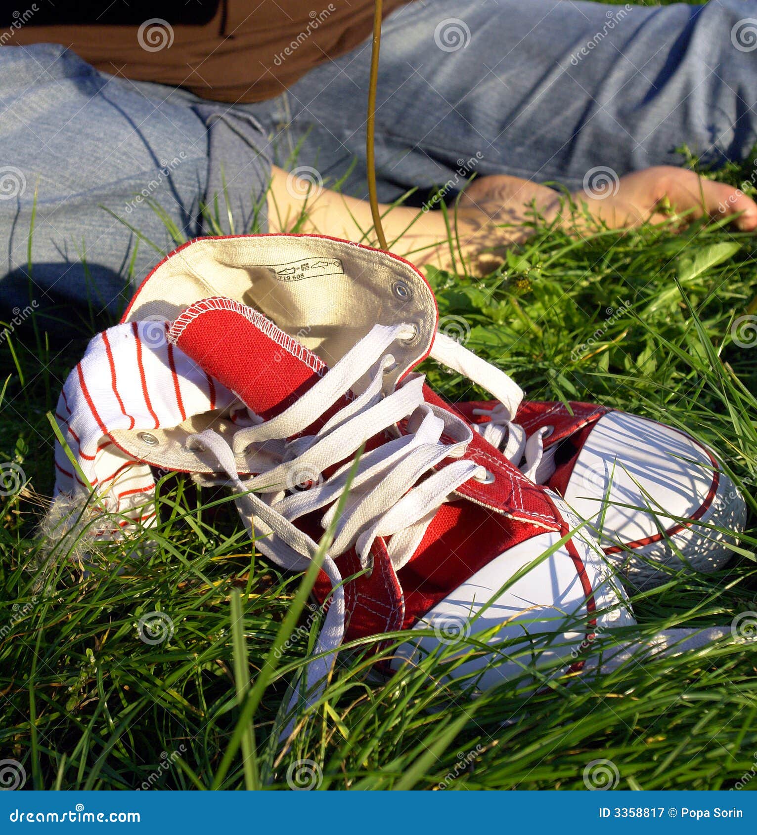 Resting foot stock image. Image of grass, resting, snickers - 3358817