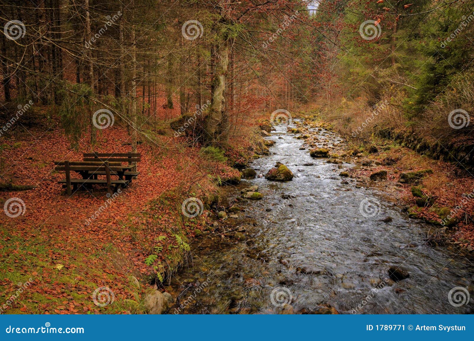 Resting in forrest stock image. Image of river, lake, bench - 1789771