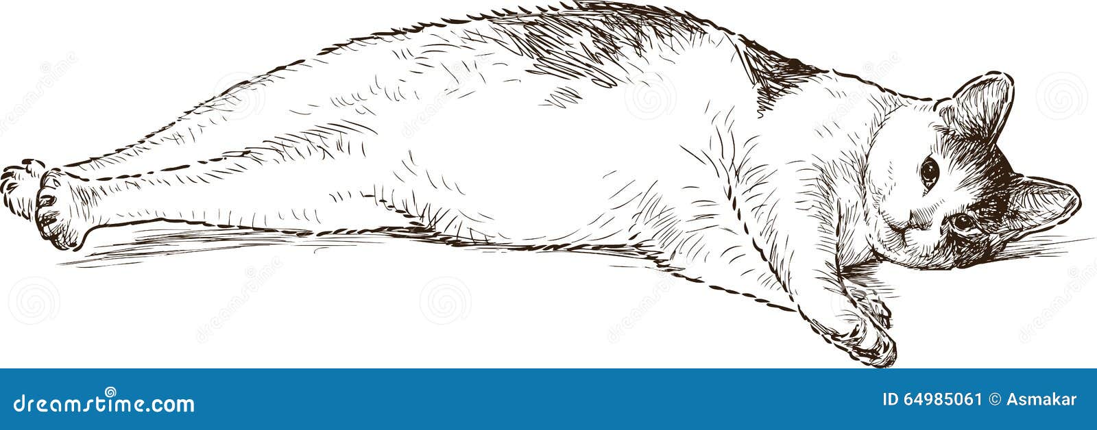 Resting house cat stock vector. Illustration of legs - 64985061