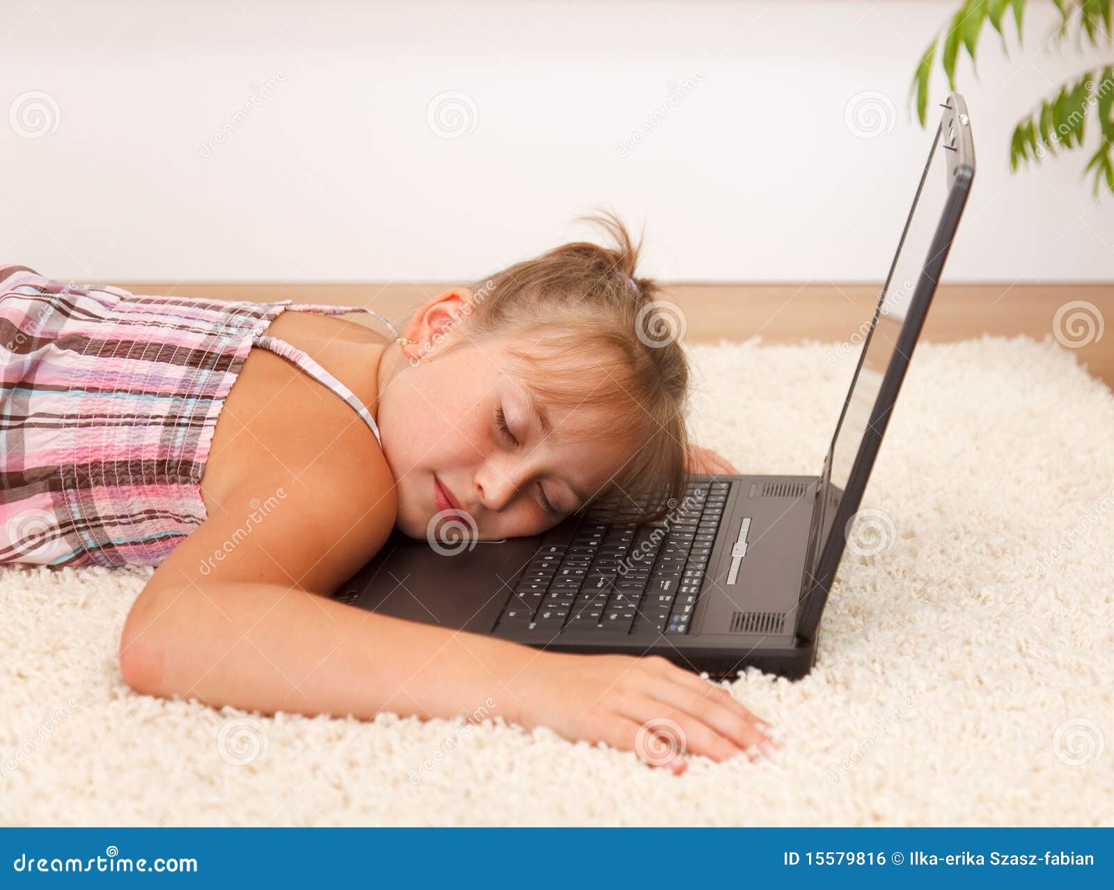 Resting on laptop stock photo. Image of carpet, rest - 15579816
