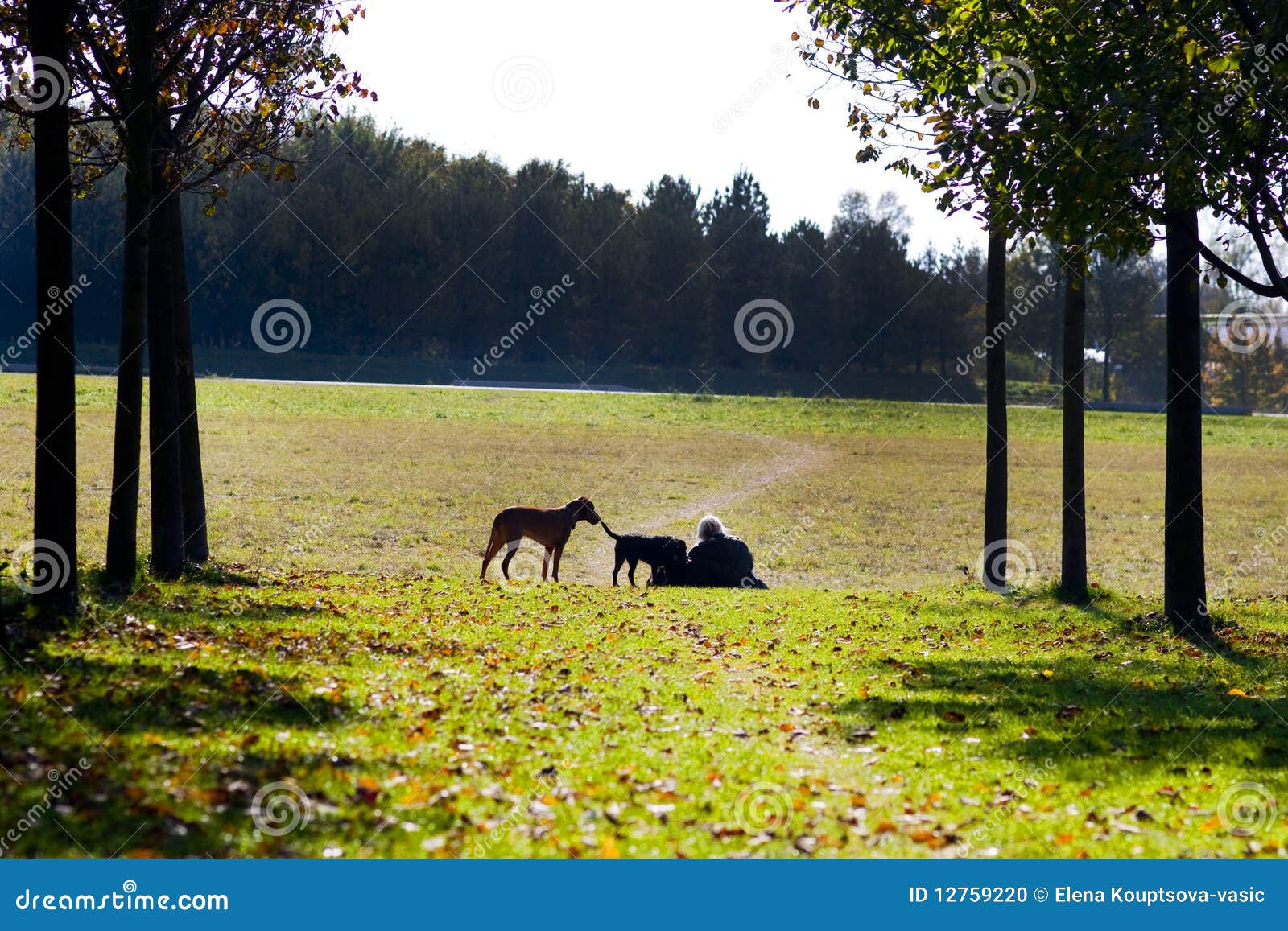 Resting outdoor stock photo. Image of tree, park, green - 12759220