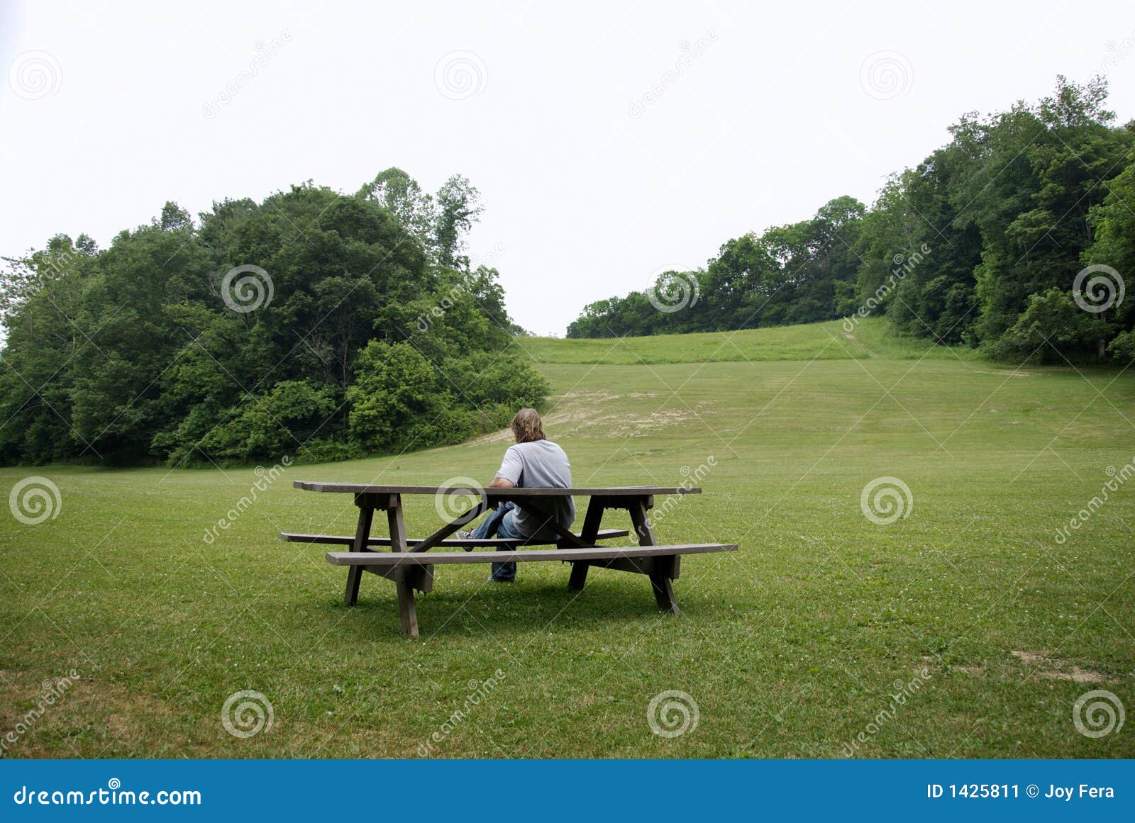 Resting in the Park stock image. Image of summer, grass - 1425811
