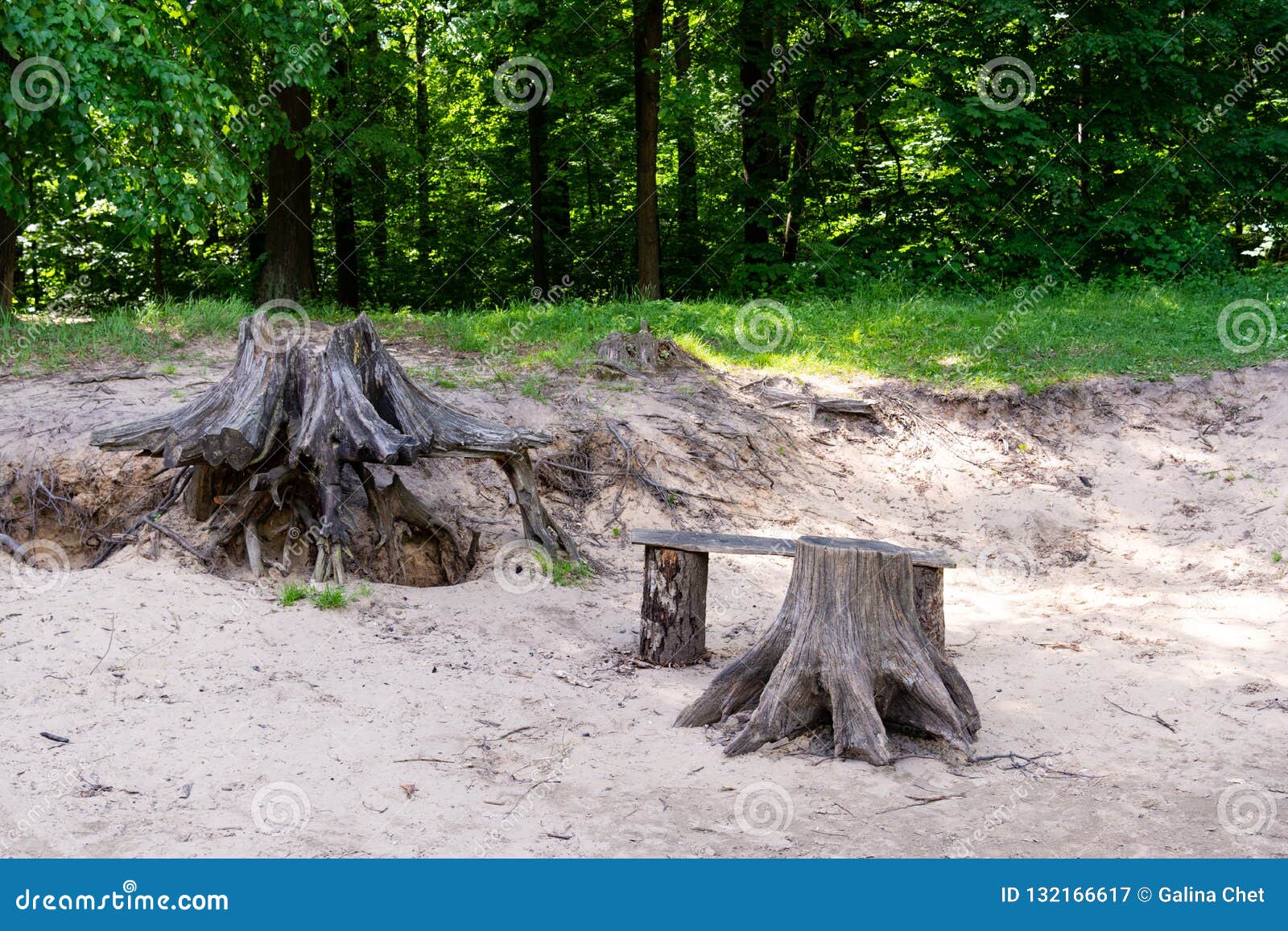 Resting Place in the Forest during the Hike Stock Image - Image of ...