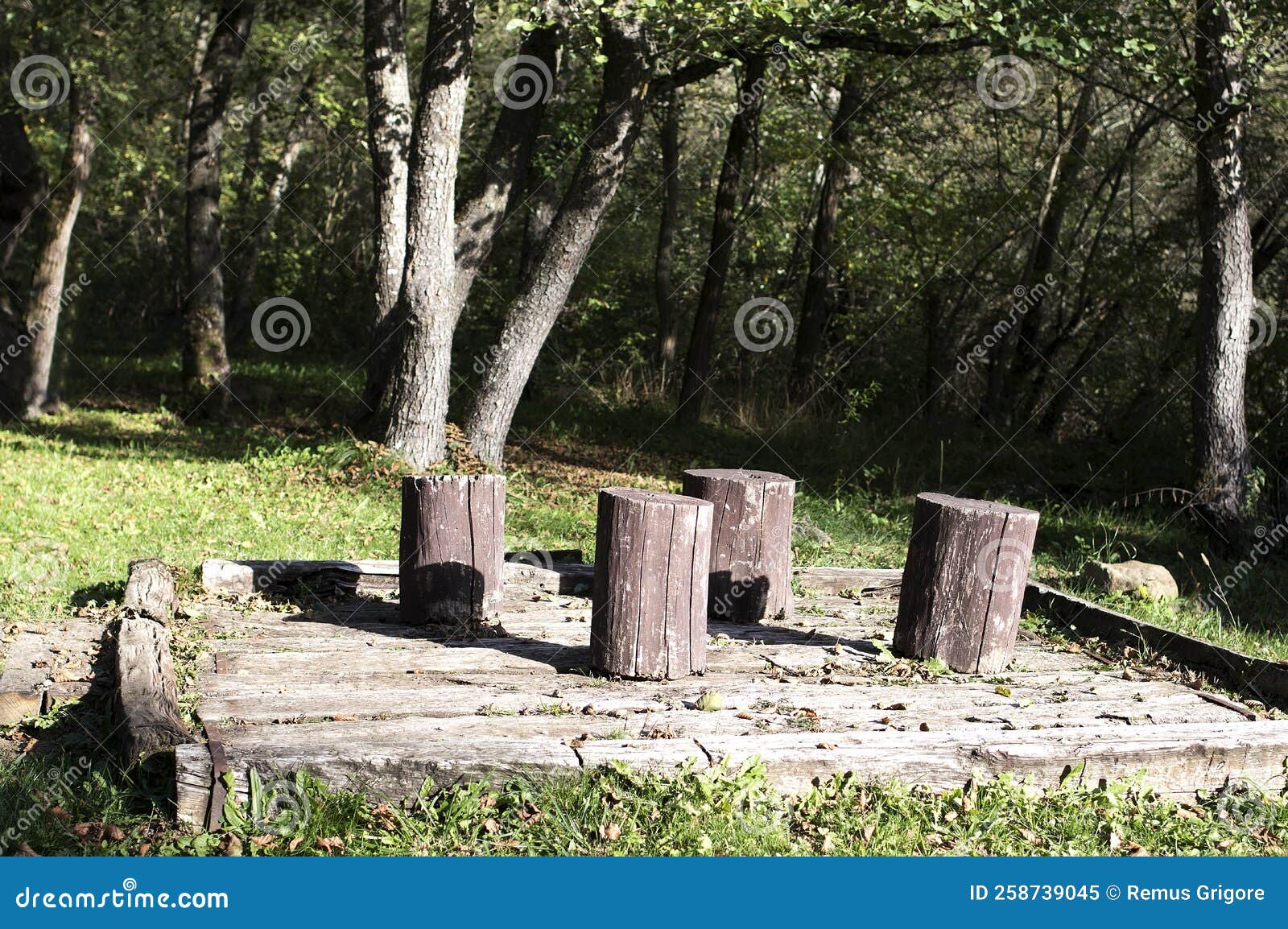 Resting Place in the Forest Stock Image - Image of environment ...