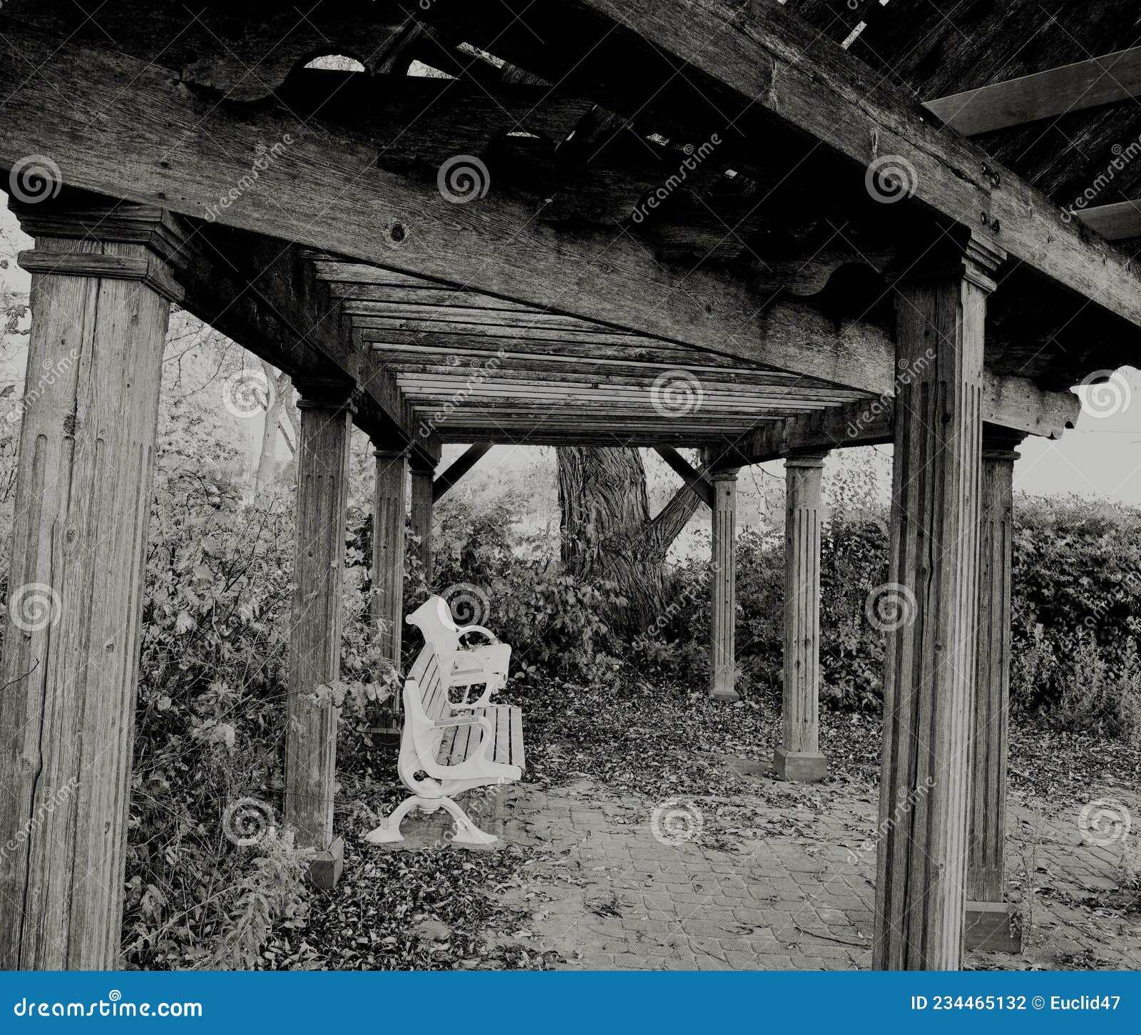 Resting place stock photo. Image of canopy, monochromatic - 234465132