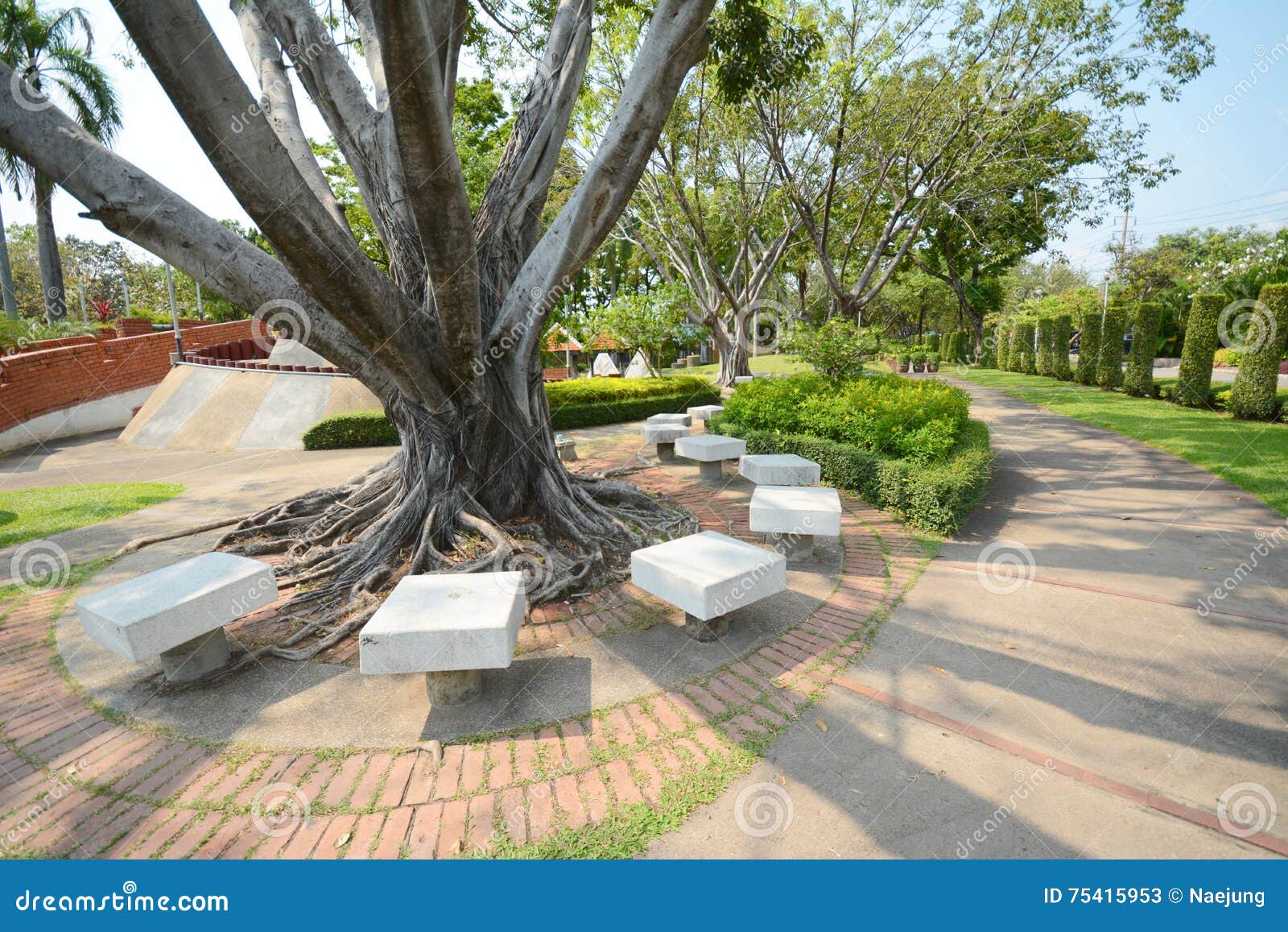 Resting place stock image. Image of colorful, field, meadow - 75415953