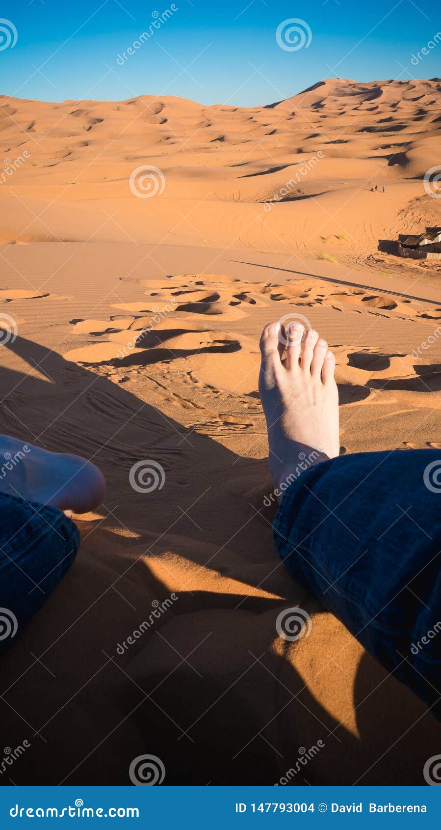 Resting in the Sahara Desert Stock Photo - Image of recreation ...
