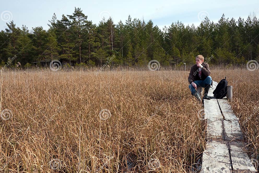 Resting on the Side of the Boardwalk Stock Photo - Image of nature ...