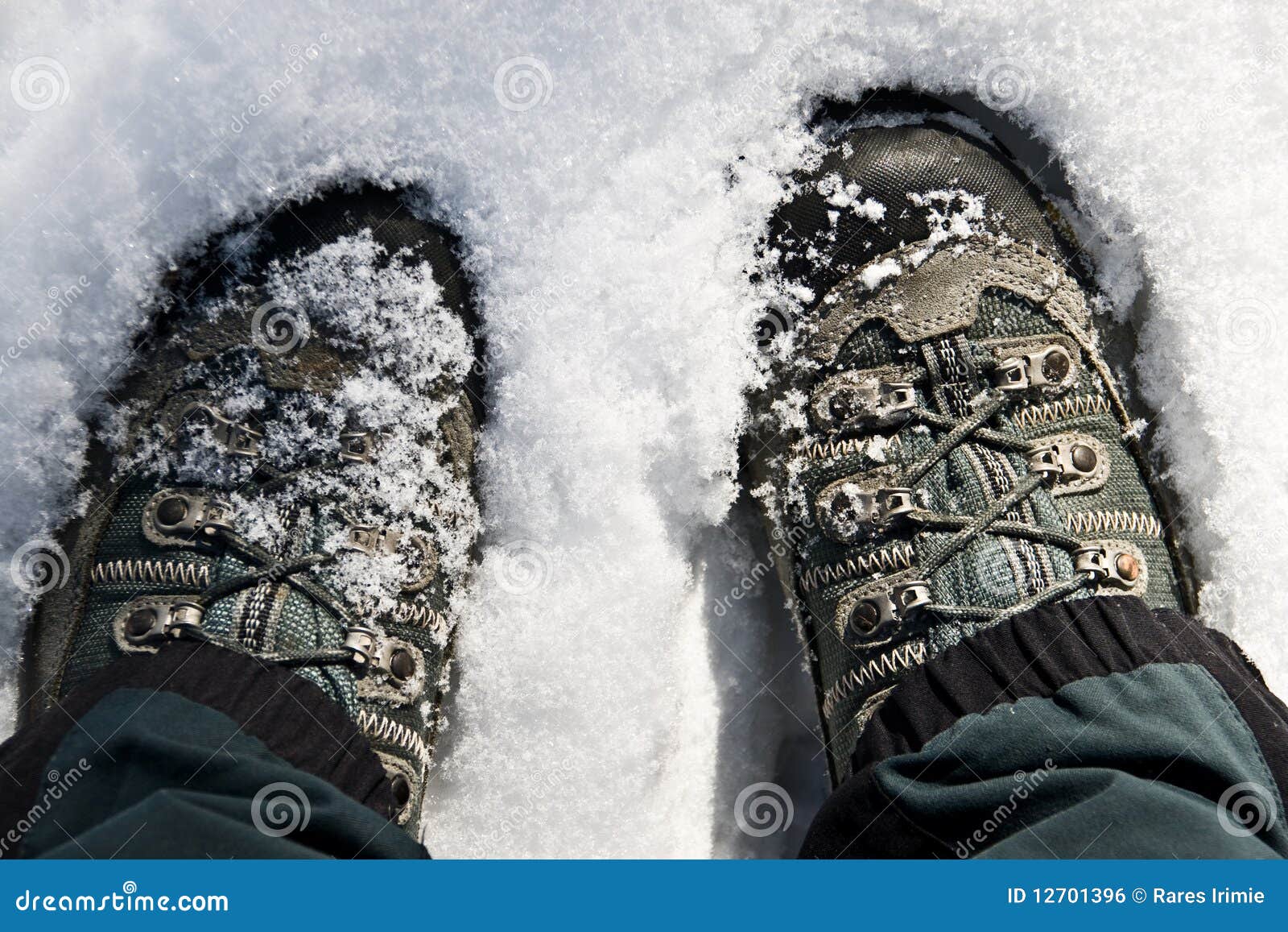 Resting in the Snow stock photo. Image of accessory, person - 12701396