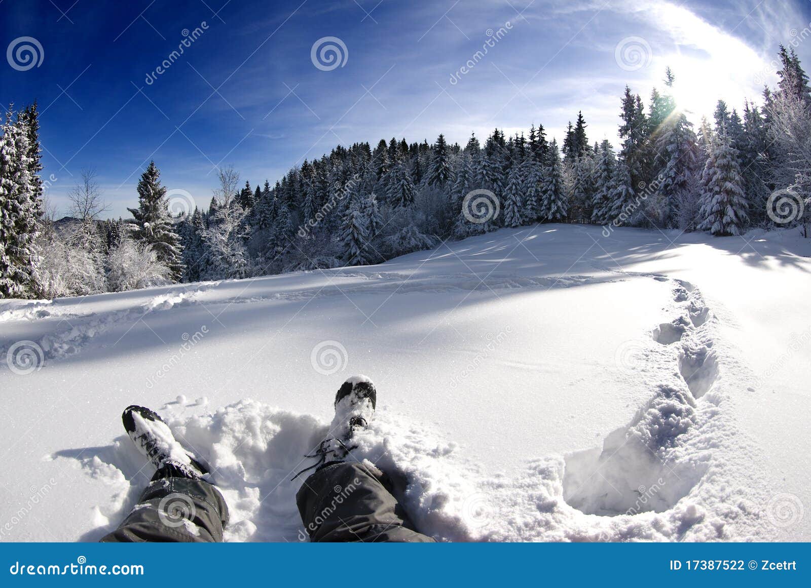 Resting in the Snow, Beautiful Winter Landscape Stock Photo - Image of ...