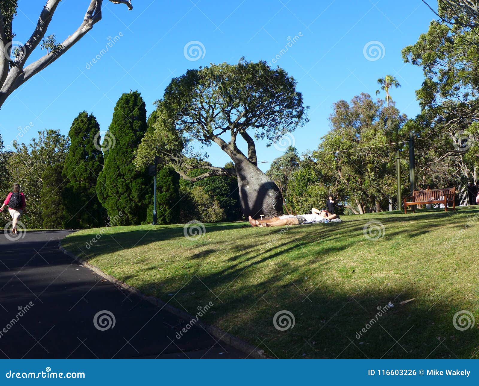 Resting in park editorial photo. Image of park, sydney - 116603226