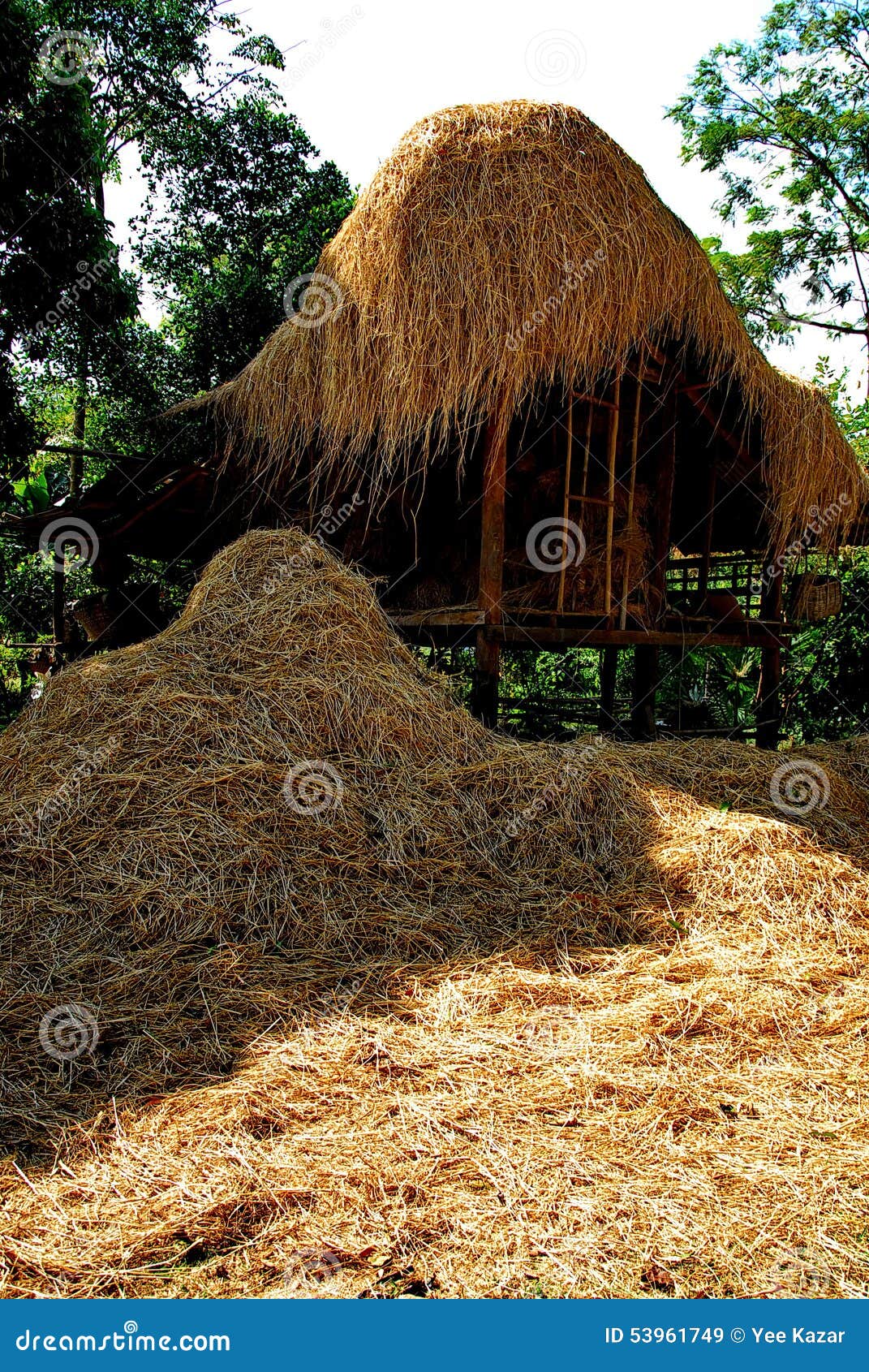 Restolho E Celeiro Do Arroz Imagem de Stock - Imagem de feno, tailândia ...