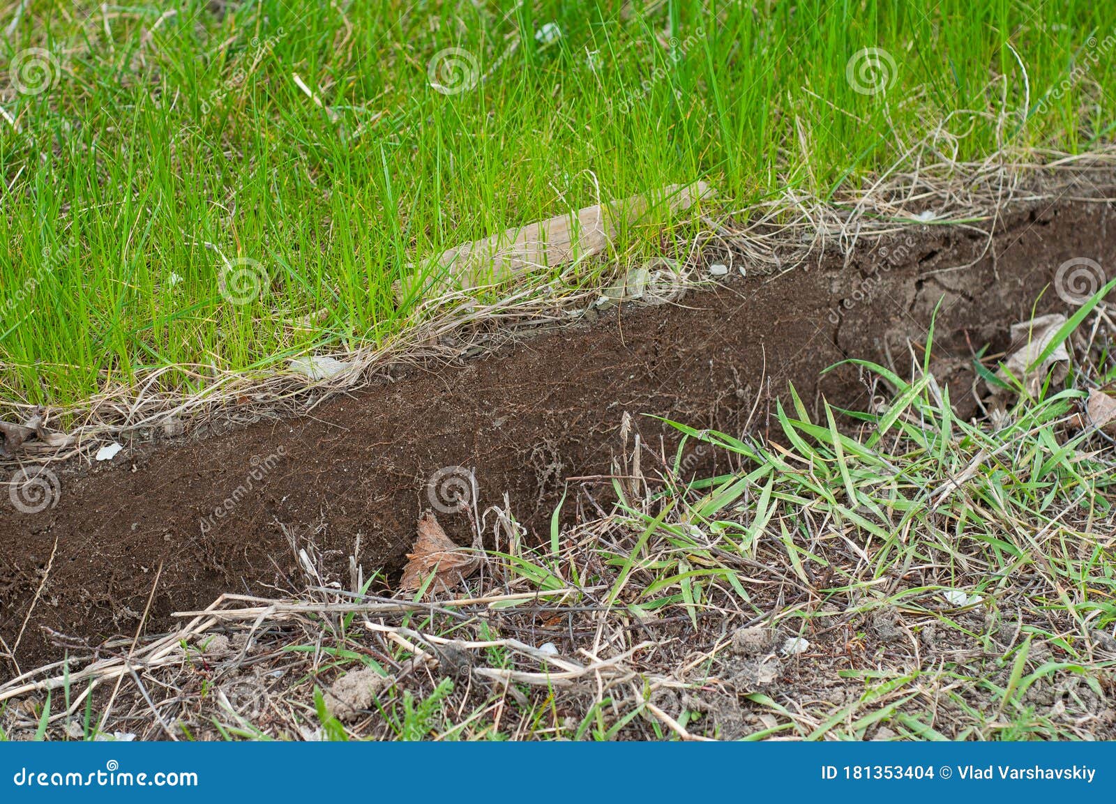 Restoration of the Lawn and Soil. Photos before and after Improving ...