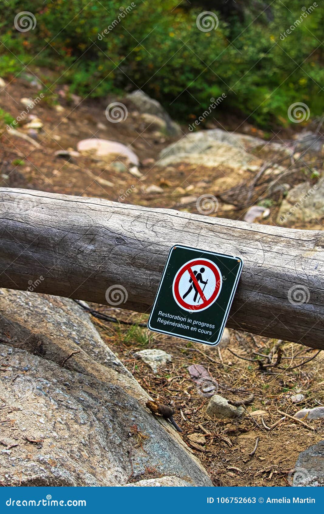 Restoration in Progress Signs on Temporarily Closed Trails Stock Image ...