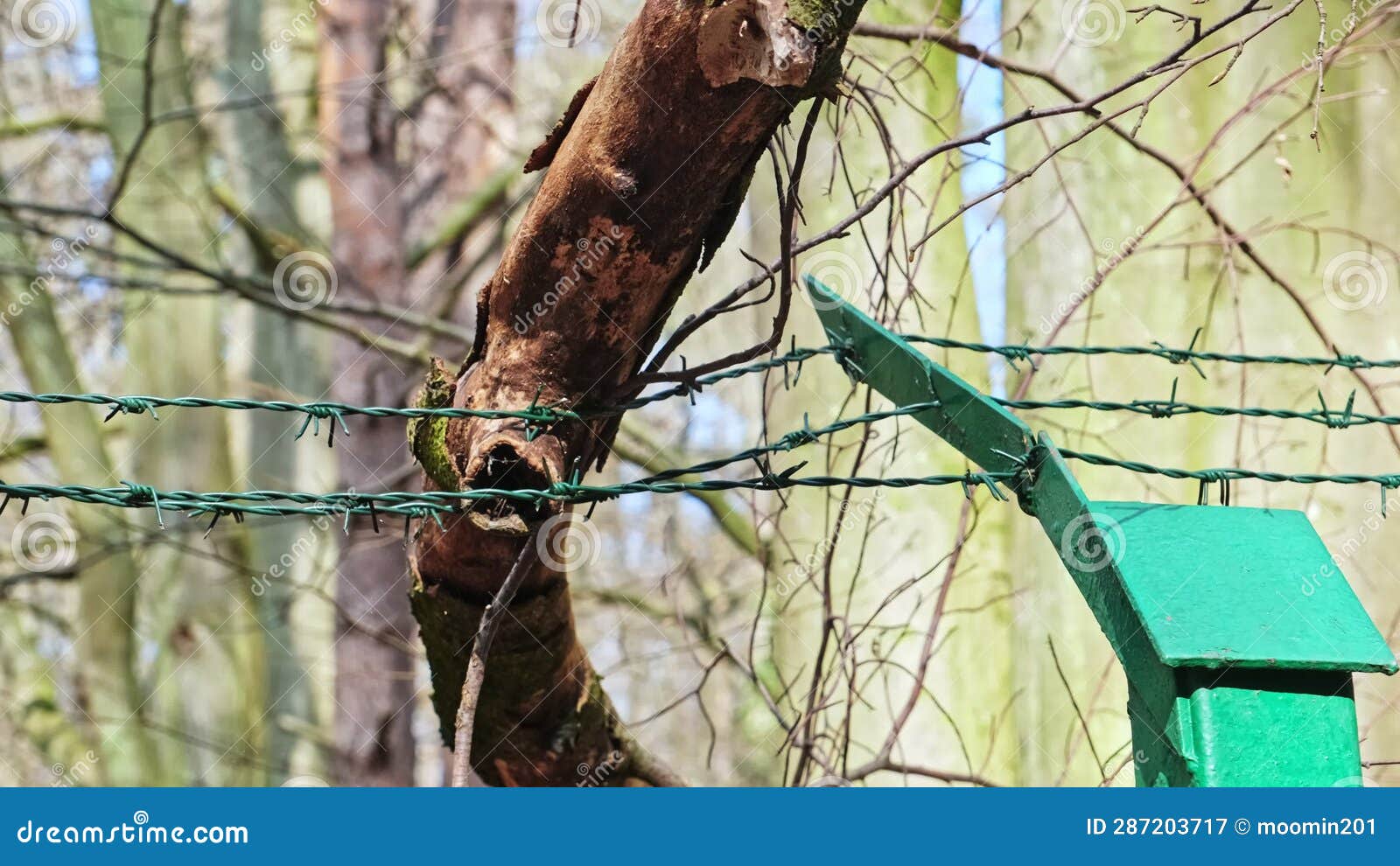 Security Fence Made with Razor Sharp Barbed Wire Stock Video - Video of ...