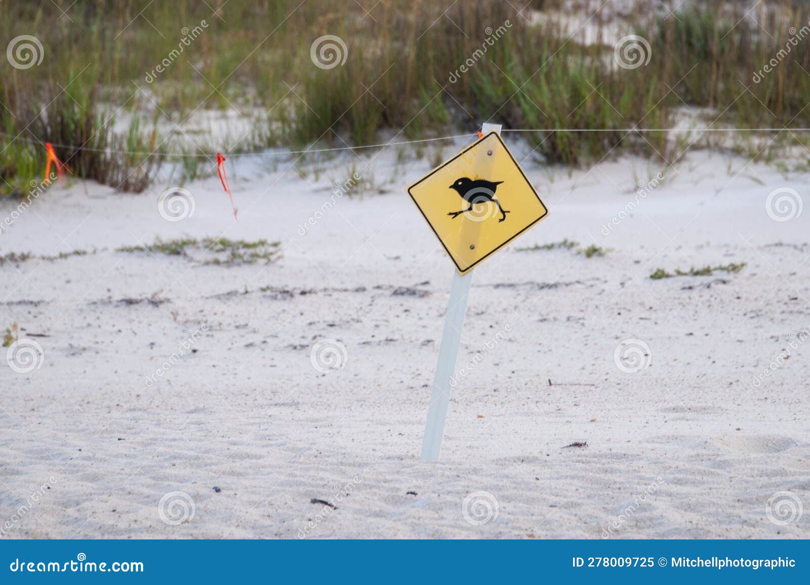 Restricted Beach Area Signage Stock Image - Image of grasses, babies ...