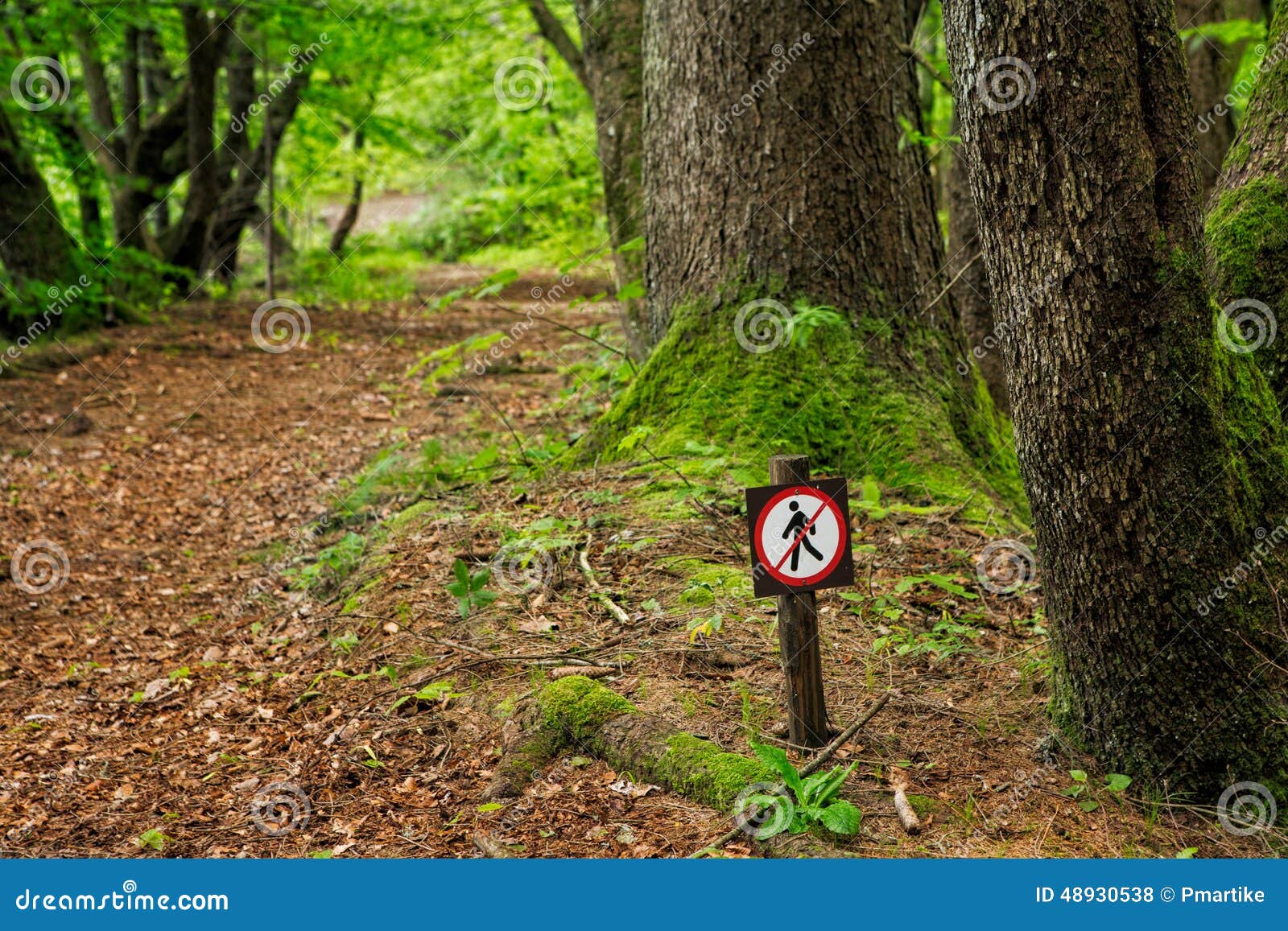Restricted Area Sign in Forest Stock Photo - Image of caution, safety ...
