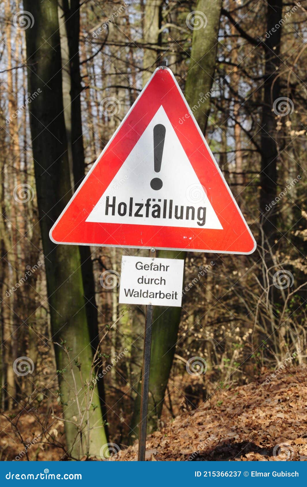 Restricted Area Sign during Woodcutting and Logging Stock Image - Image ...