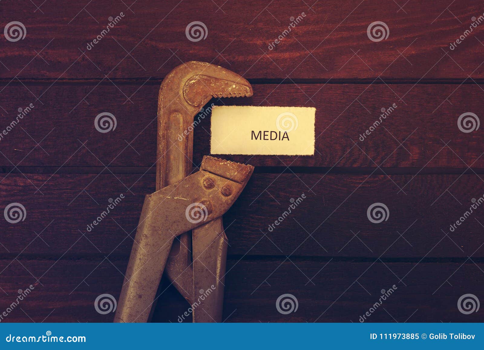Restricted Freedom of Speech Symbol and Repression of Media. Toned ...