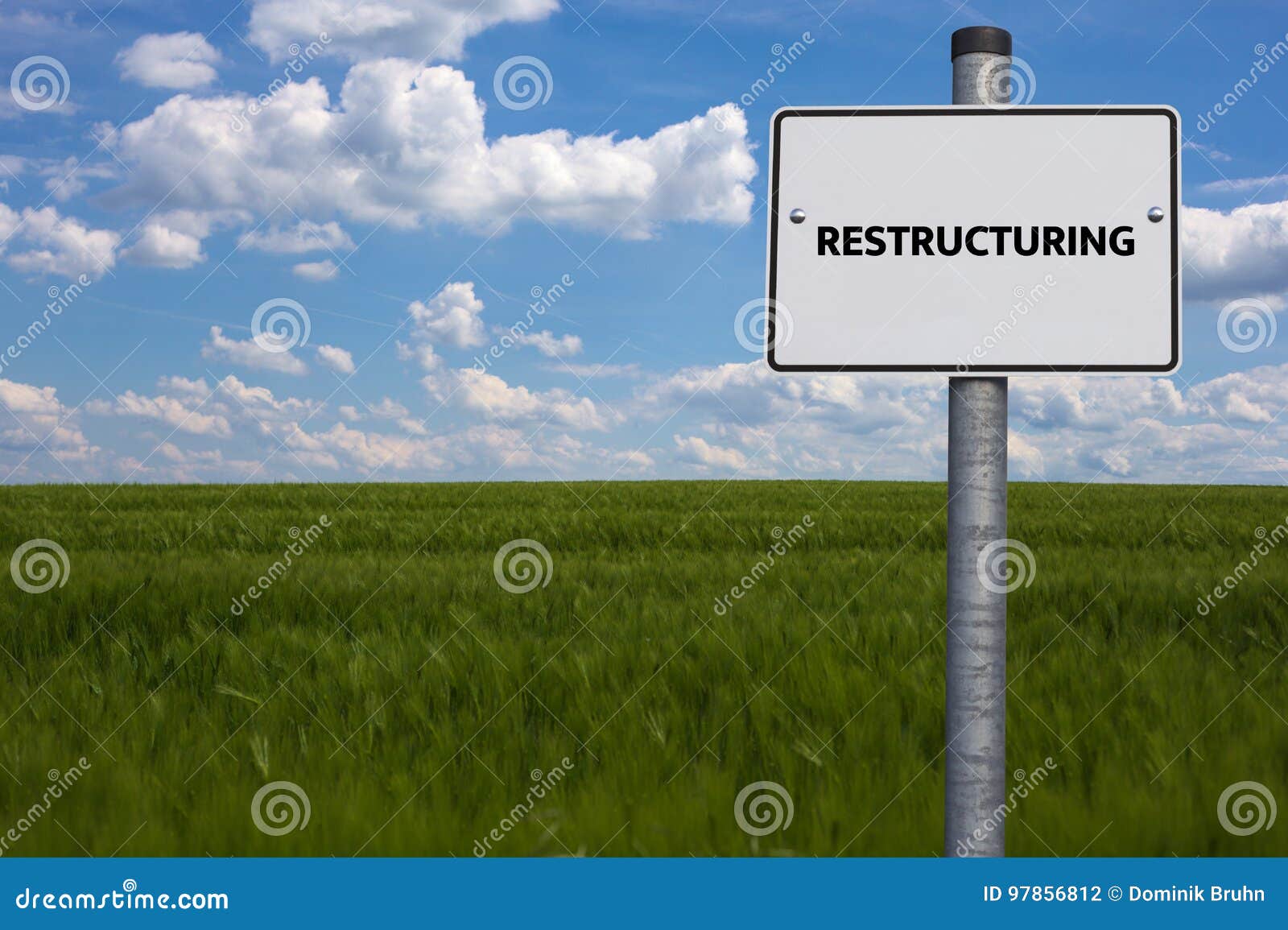 RESTRUCTURING - Image with Words Associated with the Topic INSOLVENCY ...