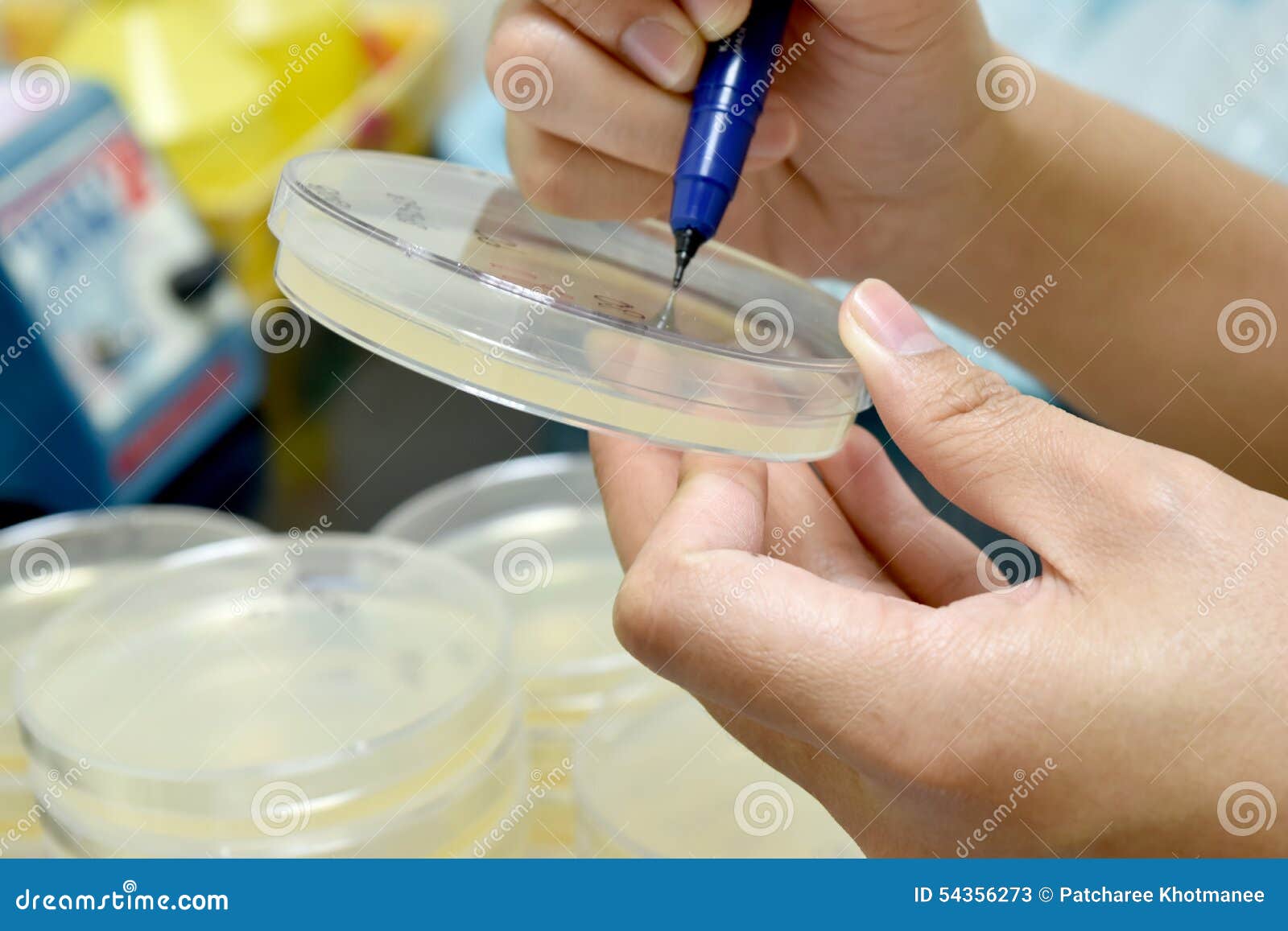 Results of Experiments a Recording of Test in Laboratory. Stock Image ...