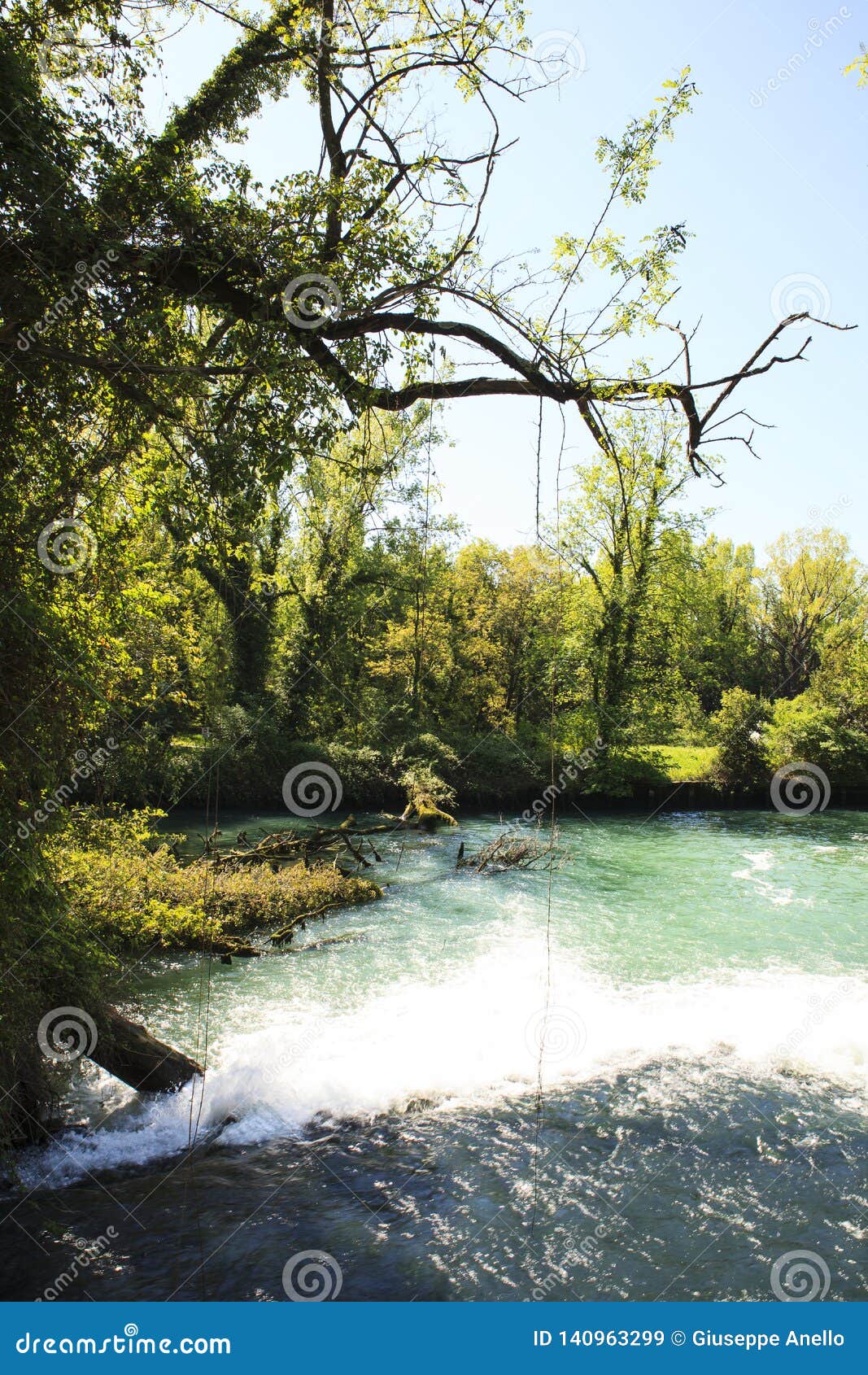 Resurgence of the Timavo River Stock Image - Image of nature, touristic ...