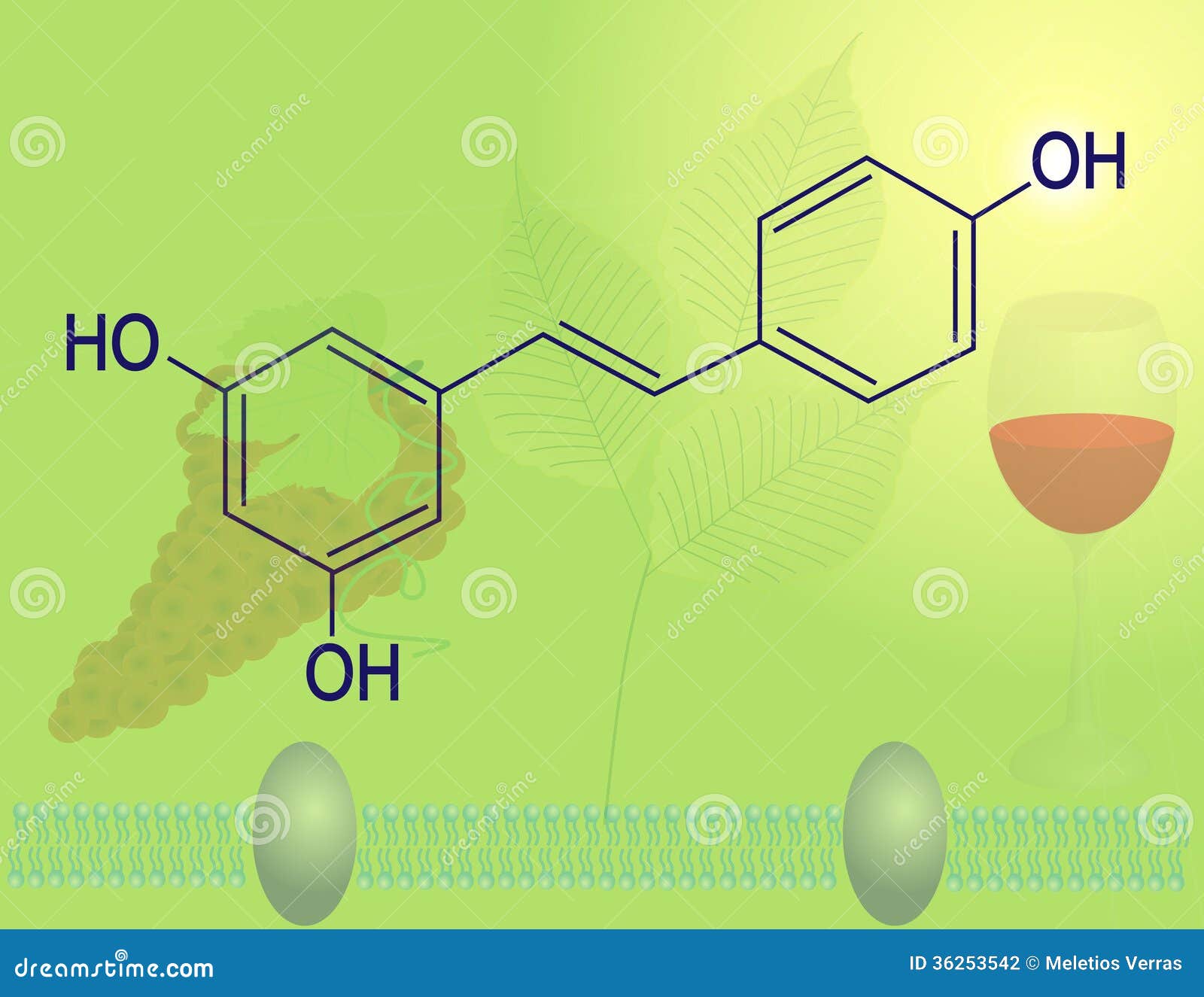 Resveratrol Molecular Structure Stock Illustration - Illustration of ... Resveratrol Molecular Structure Stock Illustration - Illustration of ...